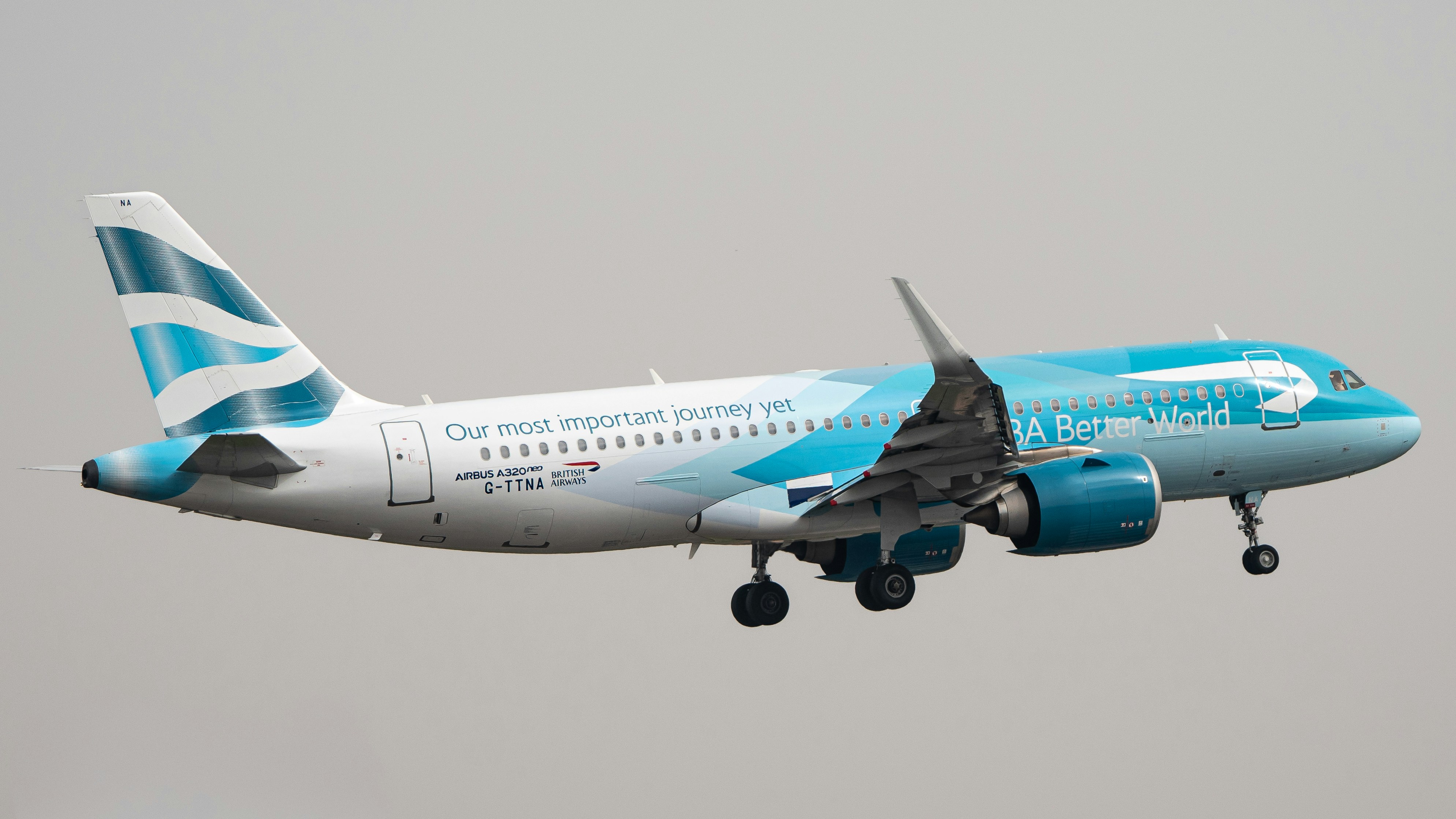 Blue Journey: A wingspan of calm descent