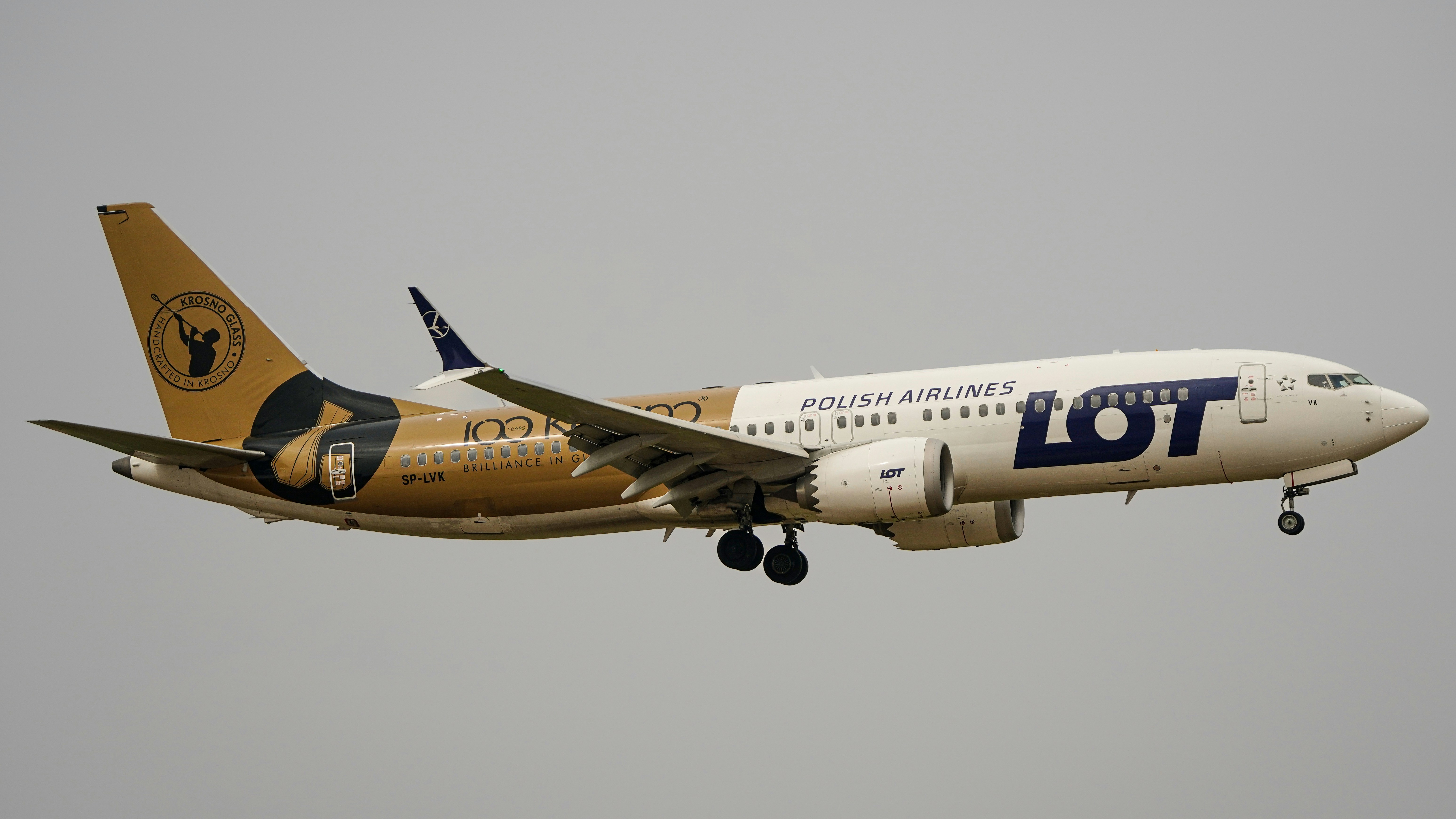 Winged Golden Crest: LOT 767 in Approach