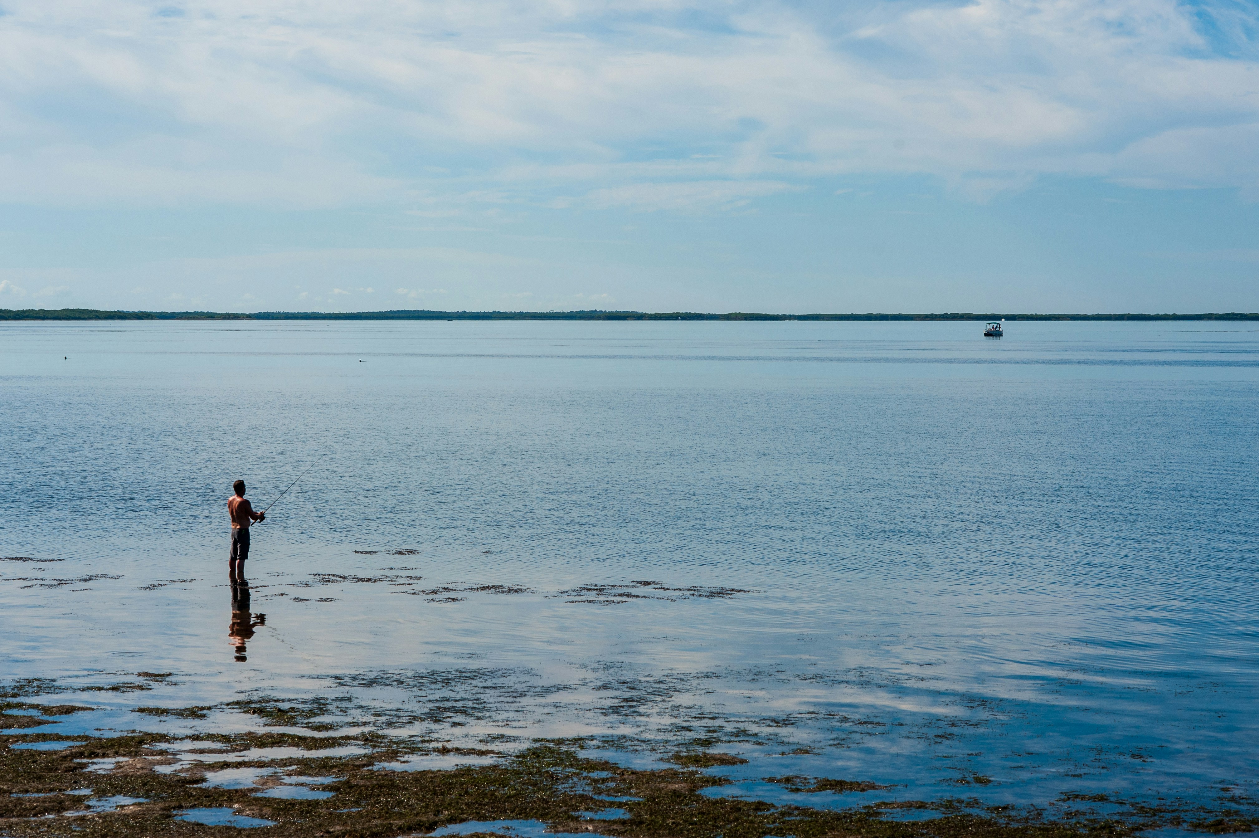Wader at the Edge: Lone Figure on a Calm Coastal Expanse