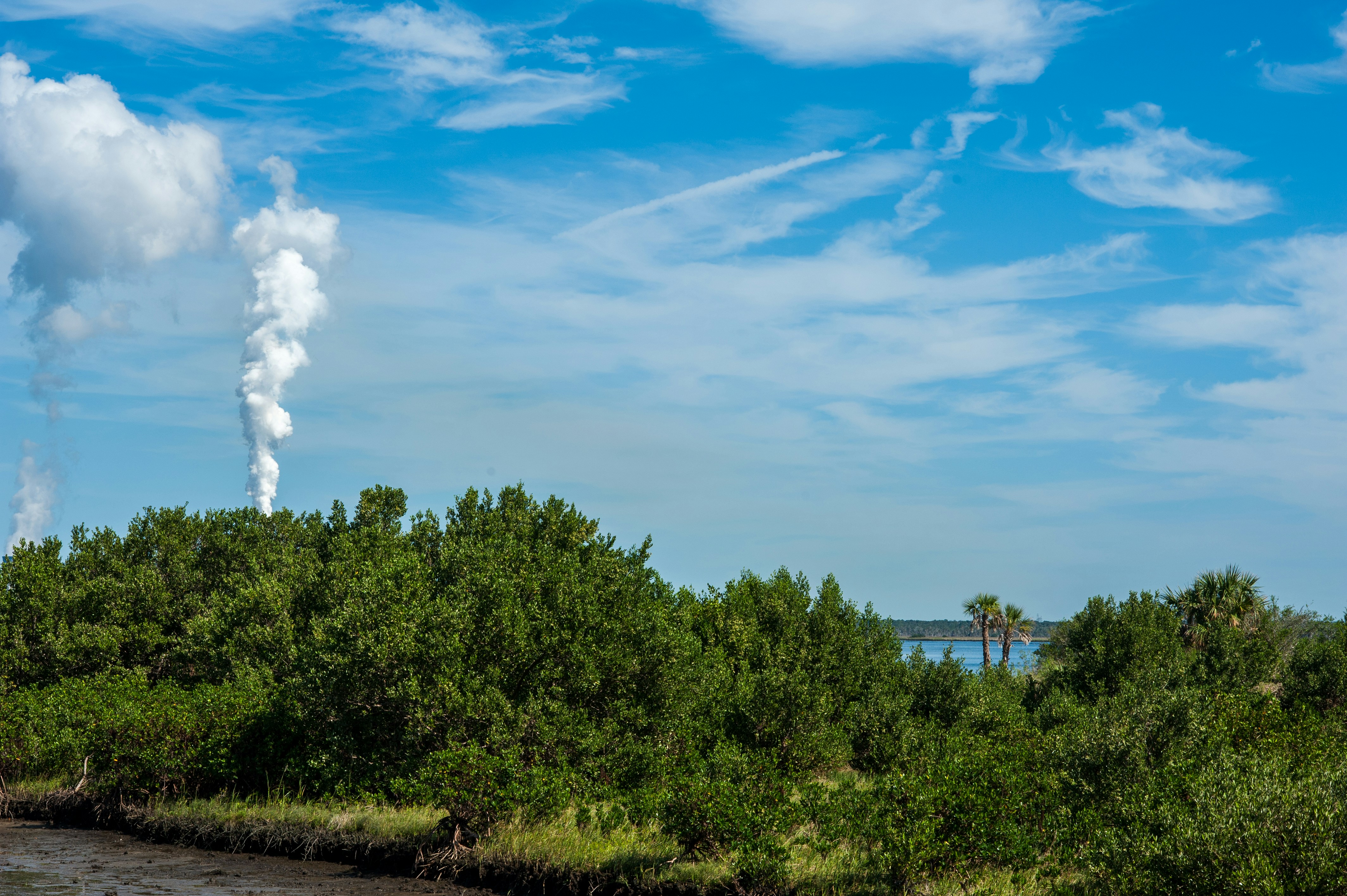 Smokestack Echoes Over Coastal Mangroves