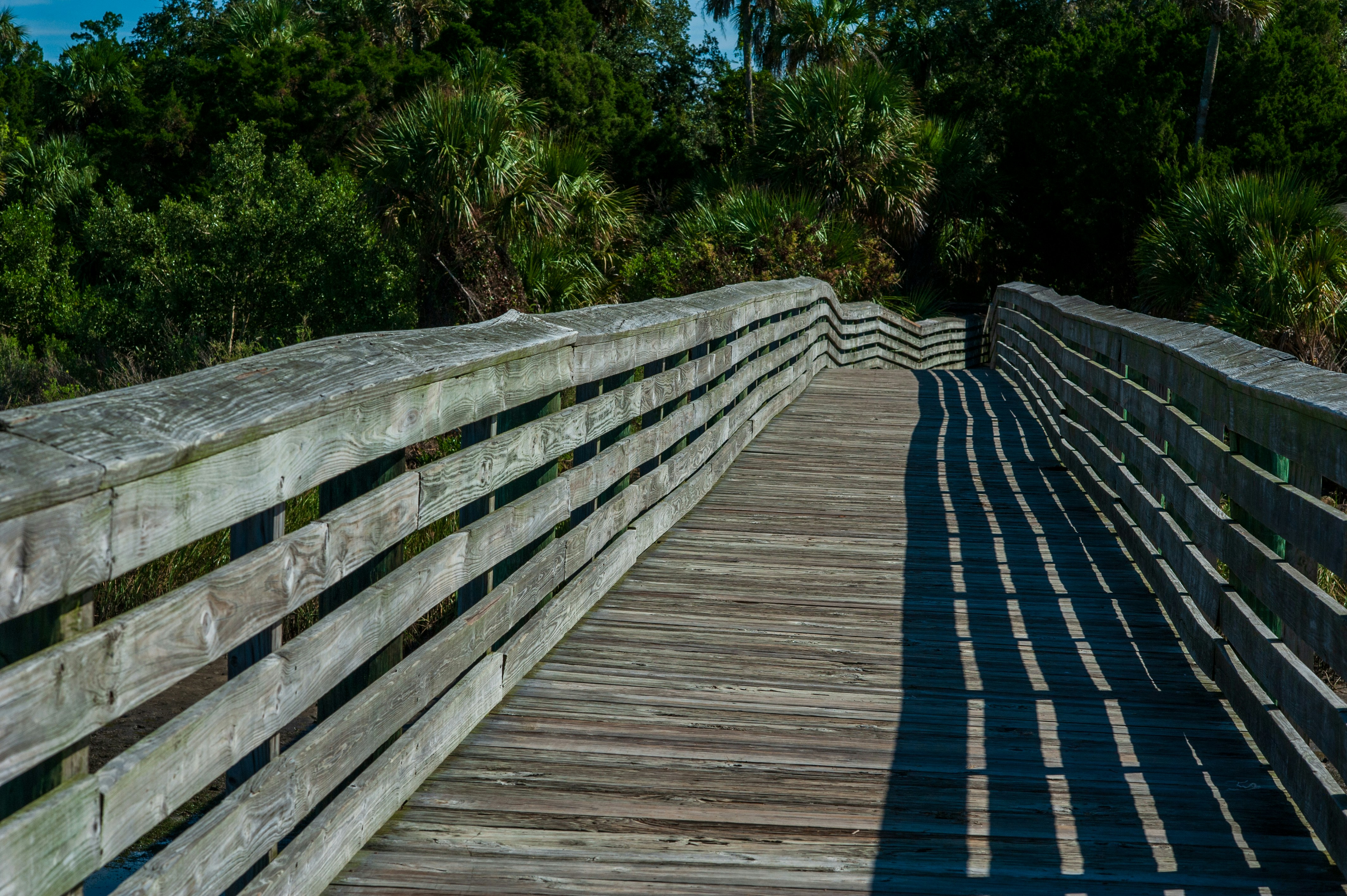 Bridge to Dappled Light