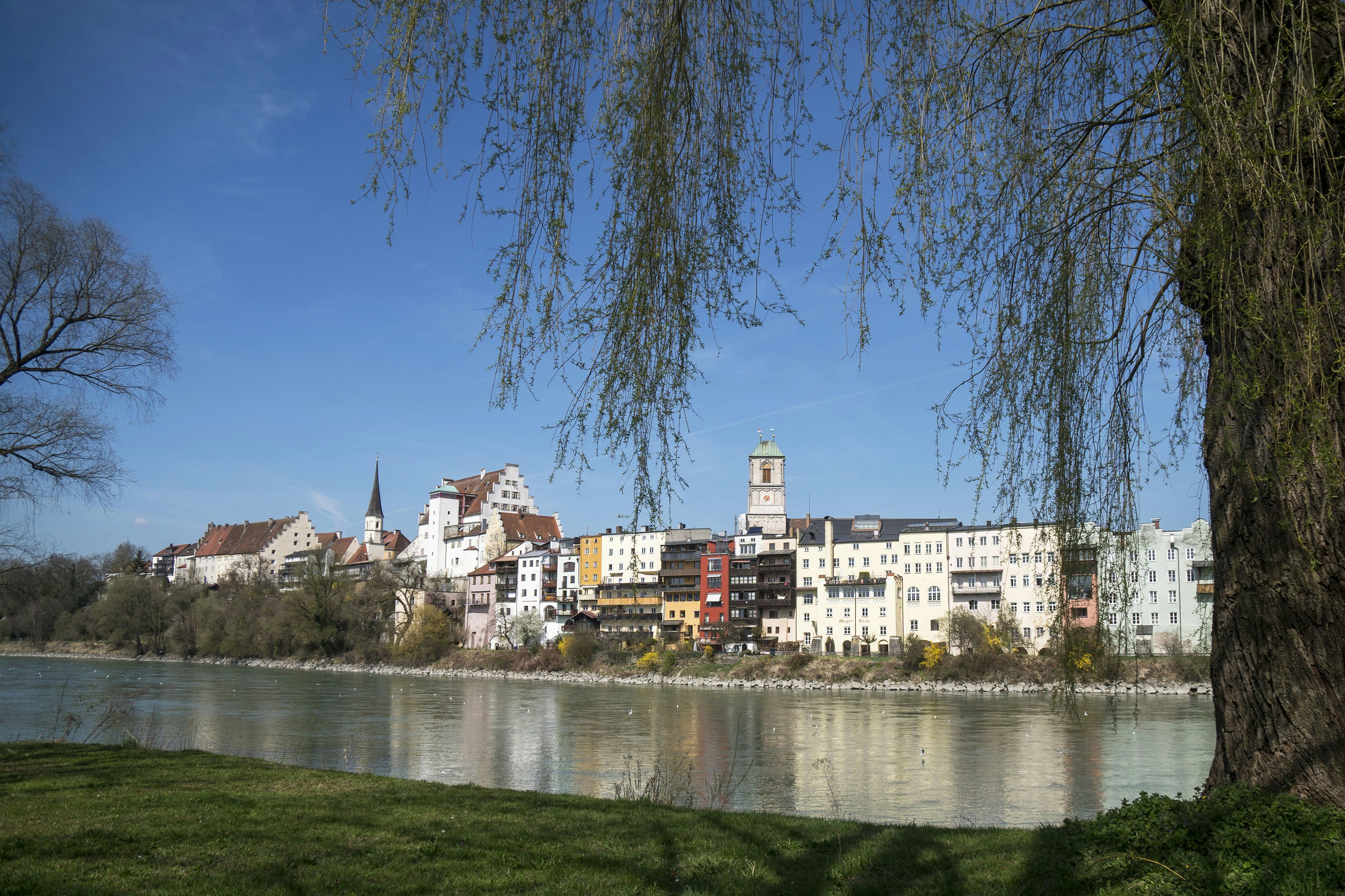 Vibrant row of pastel townhouses along a riverbank, framed by overhanging willow branches and a grassy foreground.