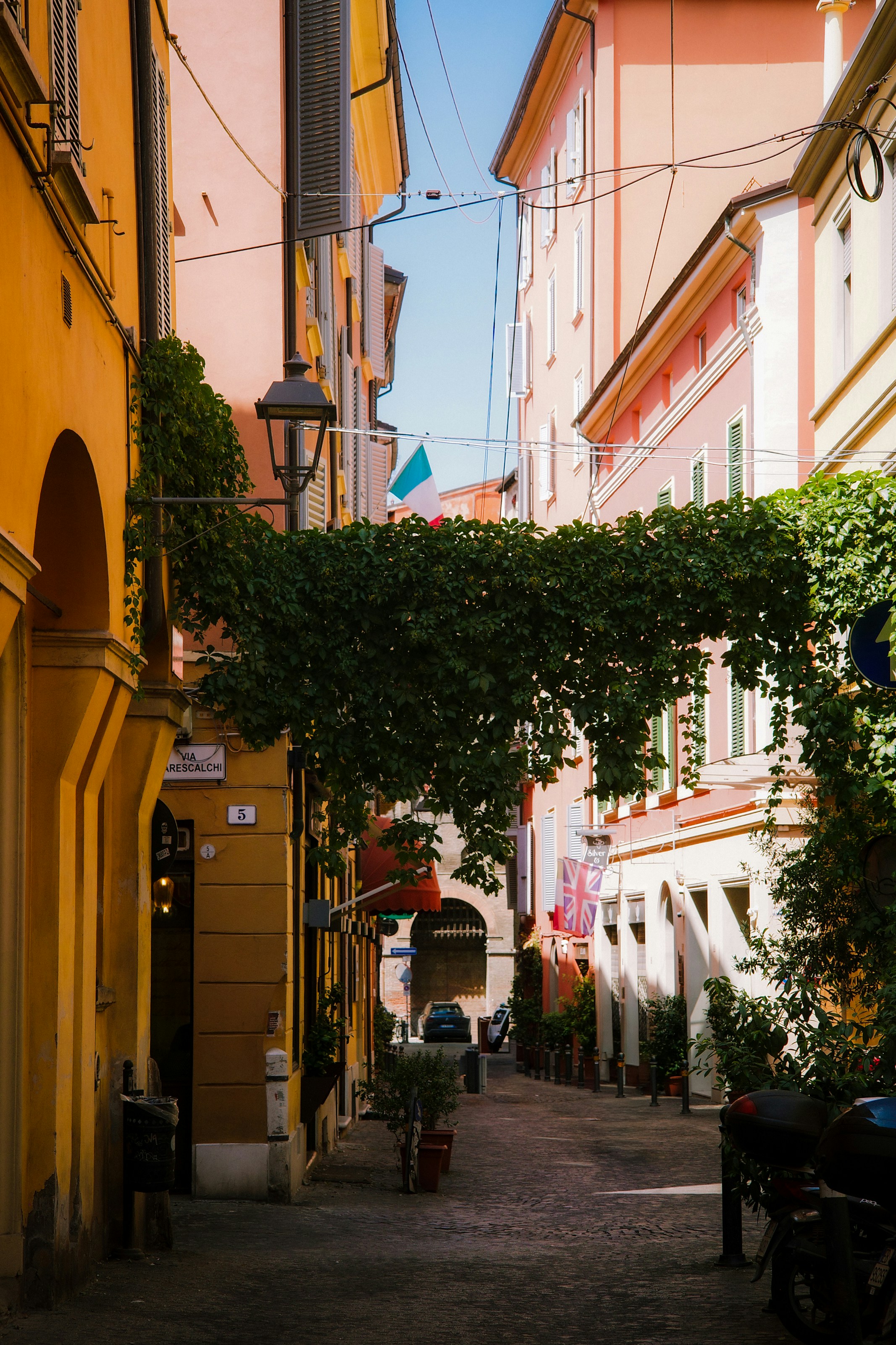 Sunlit Calle of Warm Facades and Hanging Greens