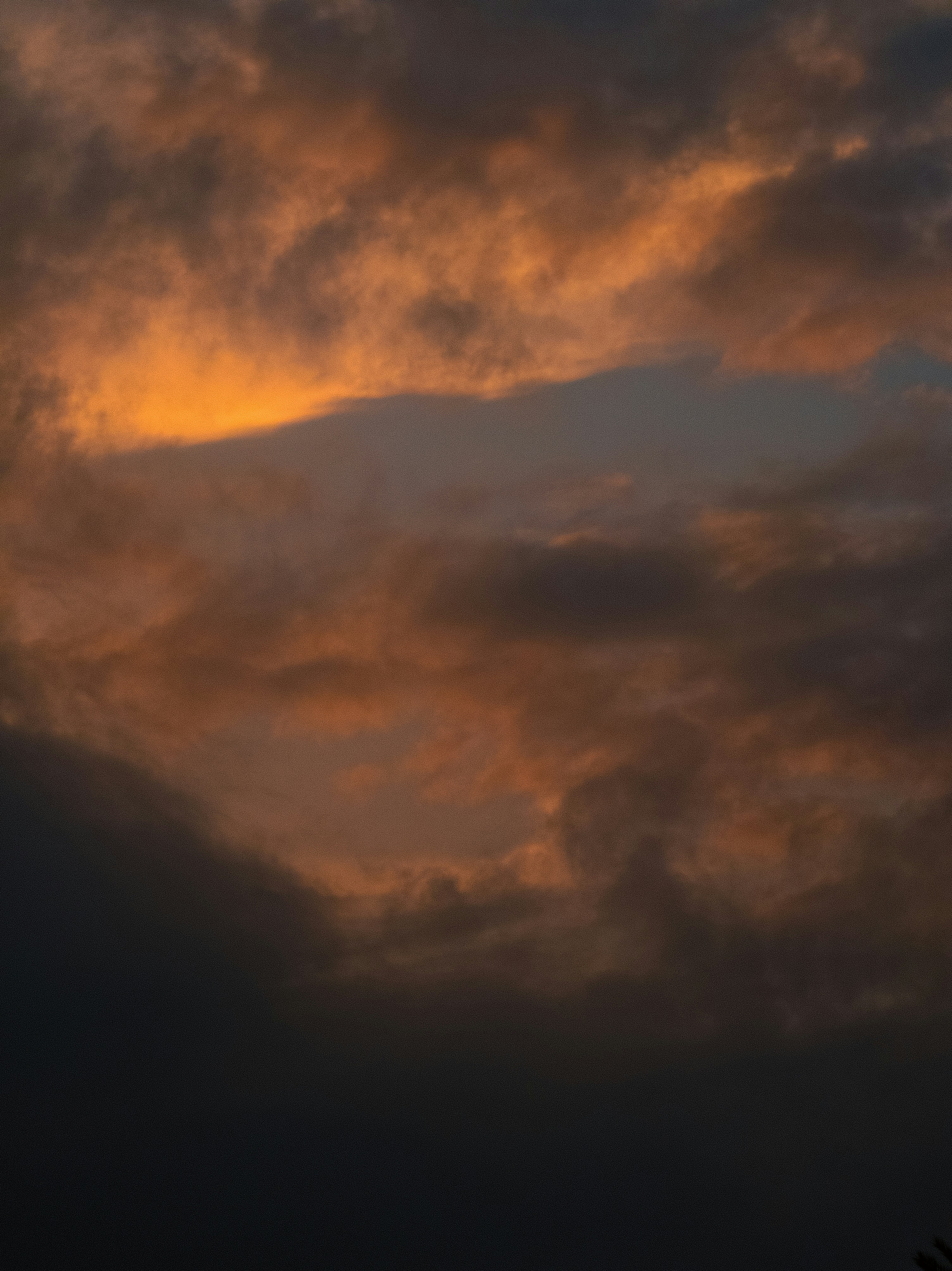 Golden Crest Over Darkening Clouds