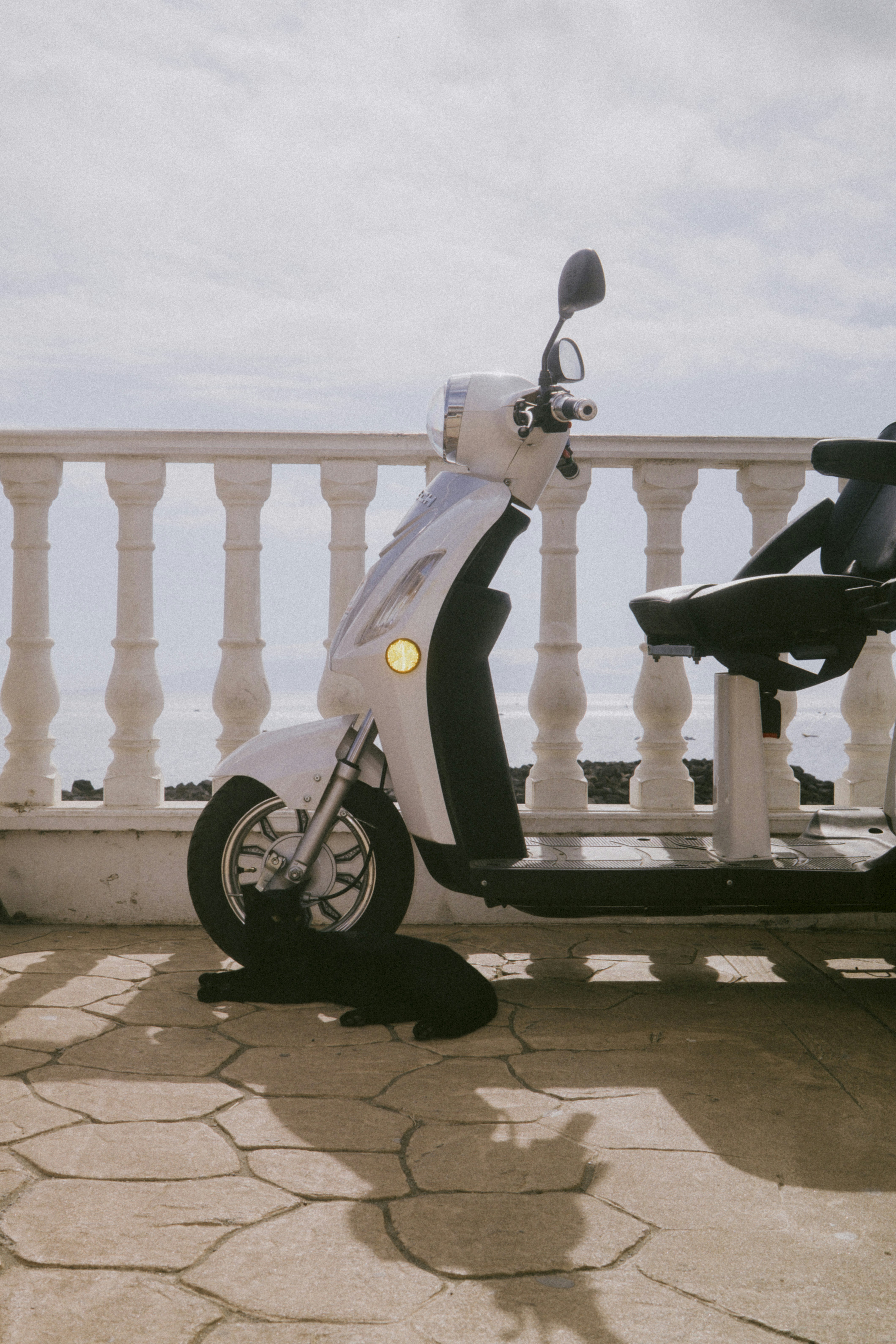 Sunlit Scooter by the Sea Wall