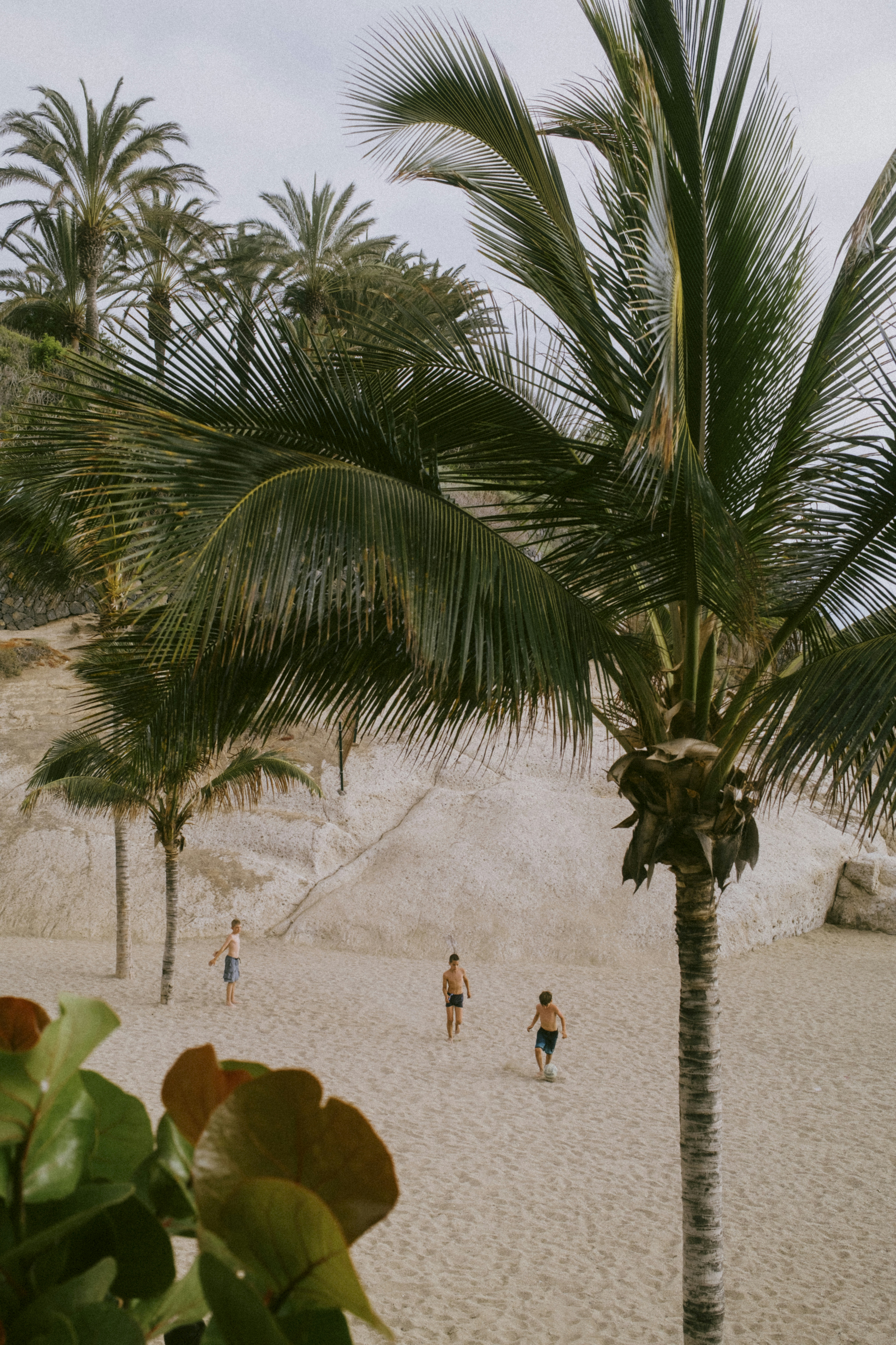 Palm Fronds Over a Sandy Beach: Kids at Play Beneath Canary Sky