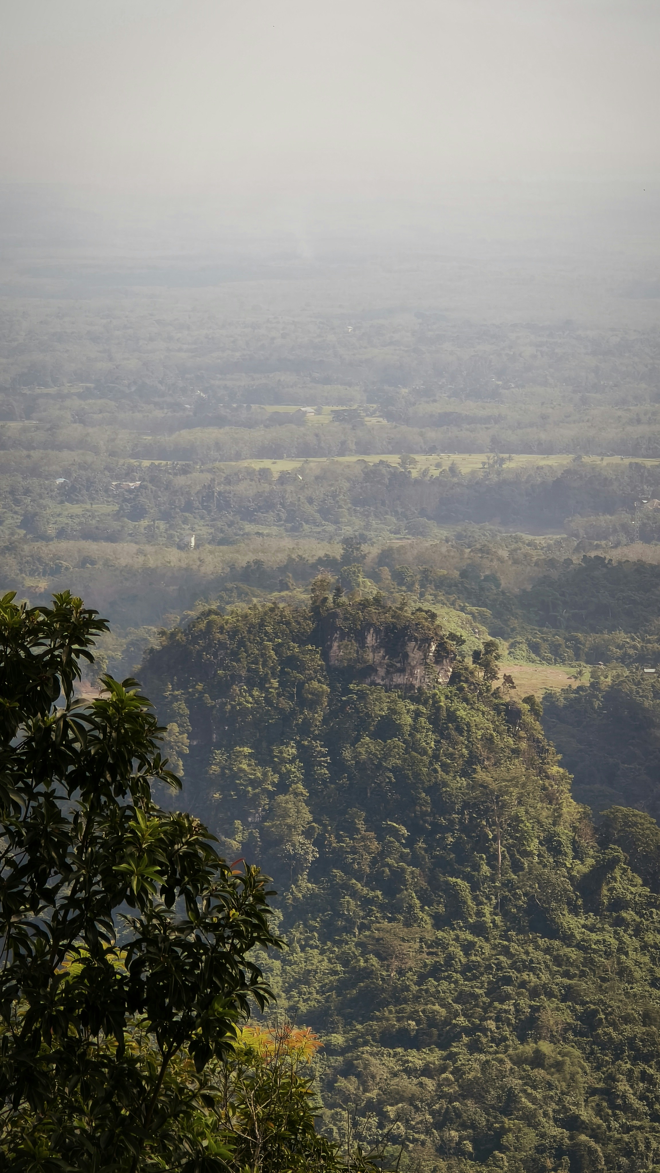 Mist over the Ridge: A Verdant Valley from a Cliffside