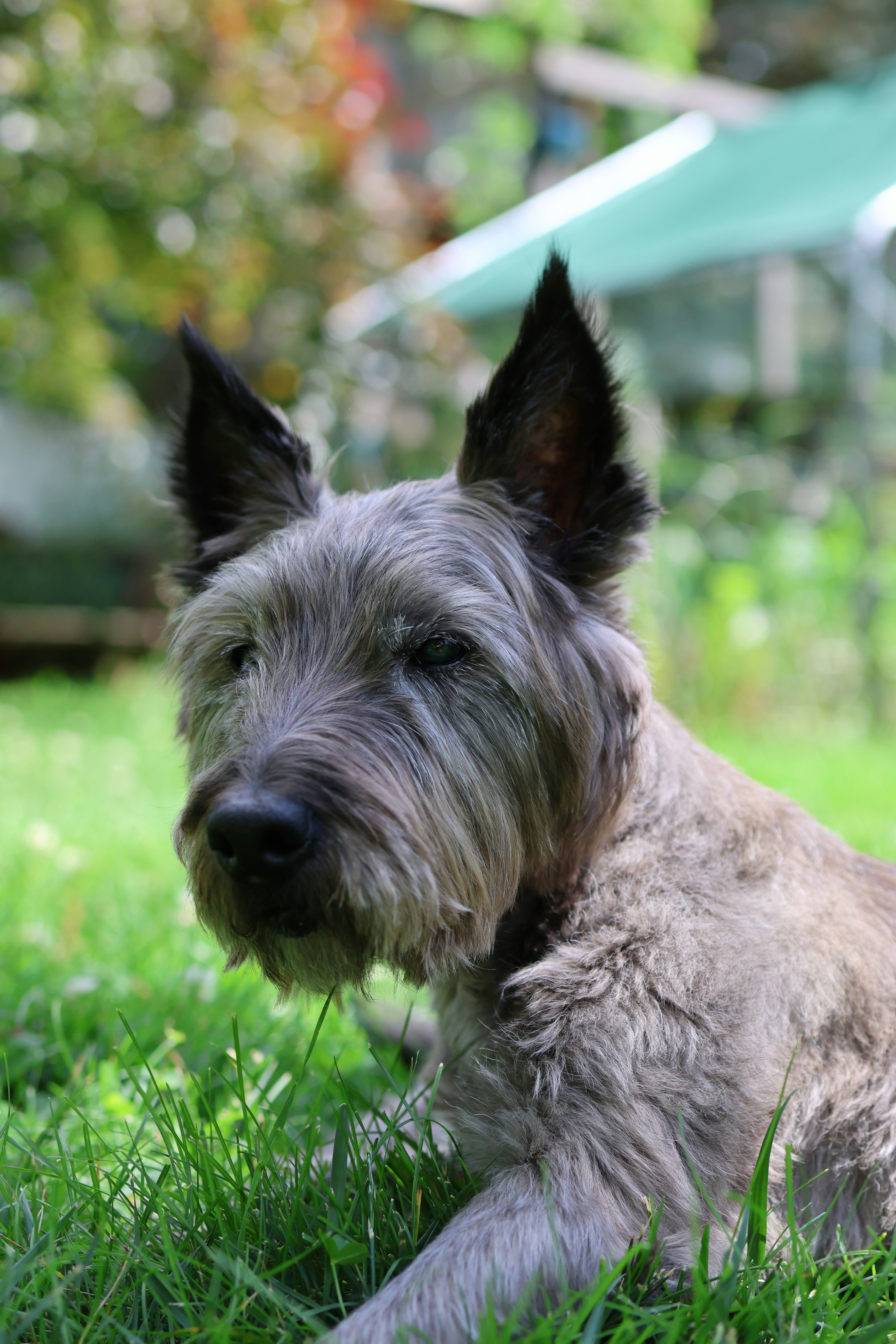 Calm Cairn in a Sunlit Garden
