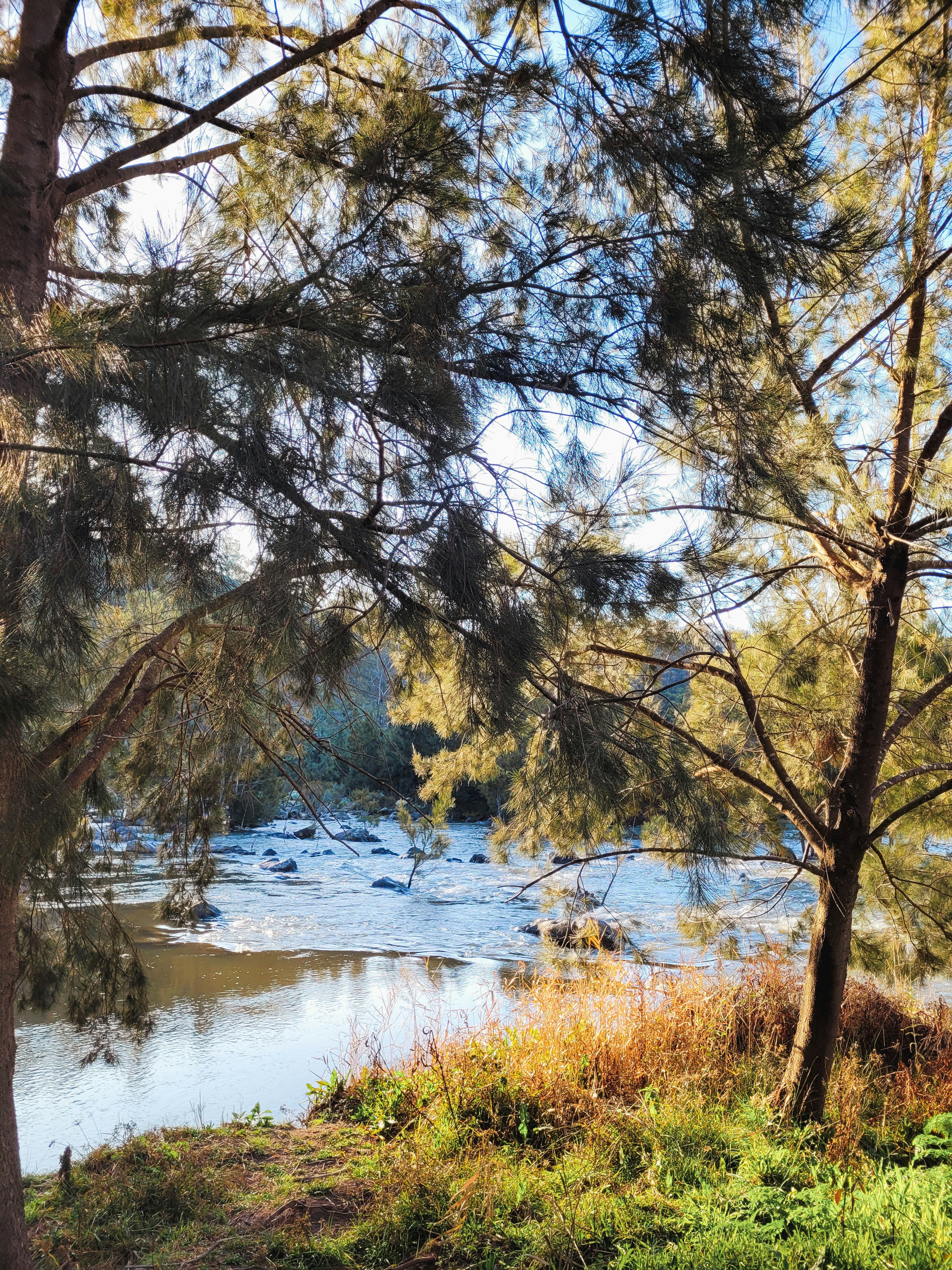 Sunlit trees frame a calm river with grassy banks; the scene is a natural landscape focused on the water and light. (logo/illustration not present).