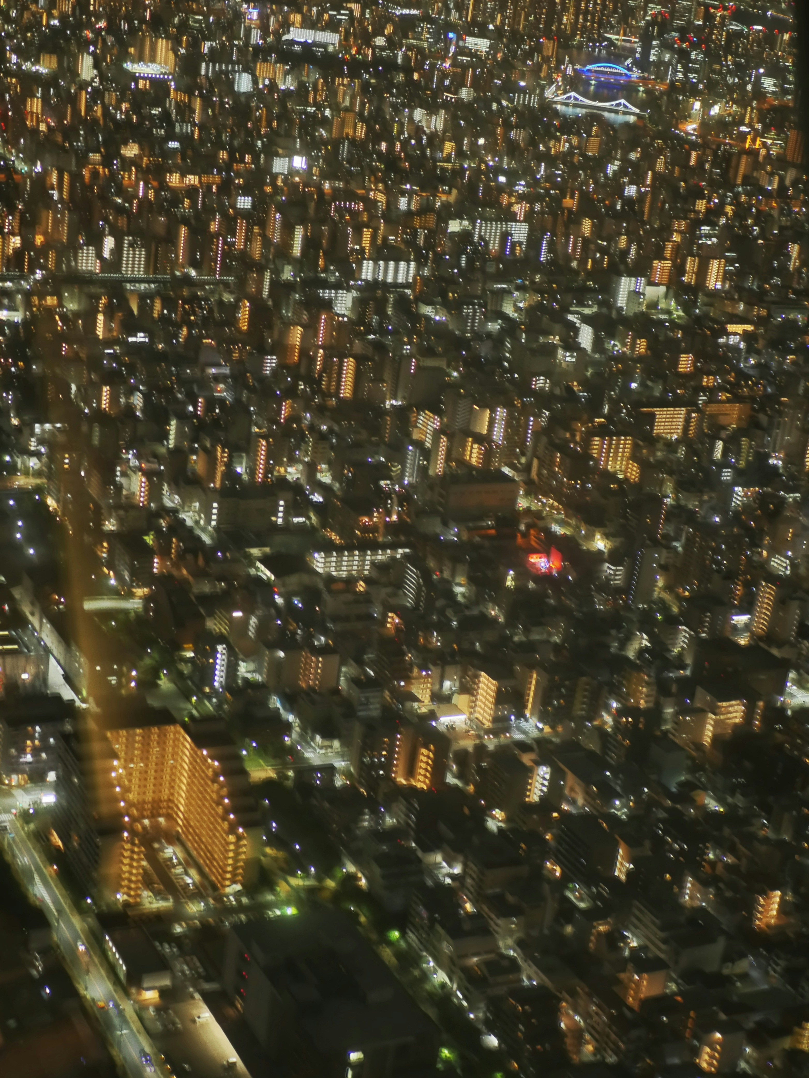 Nightflight Over a Quiet City: A Bird’s-Eye Glow