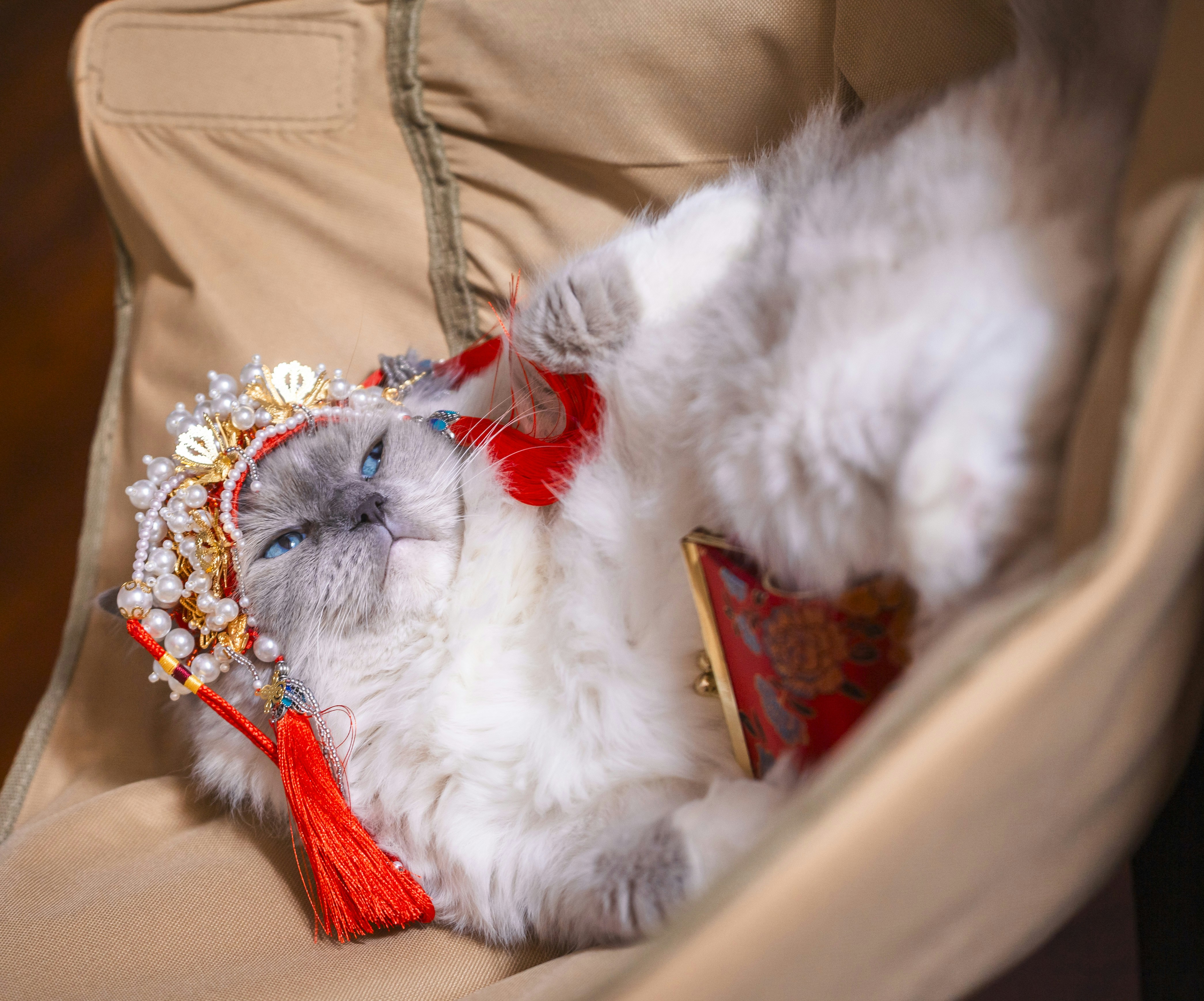 Embellished Feline Rest in a Soft-Toned Bag