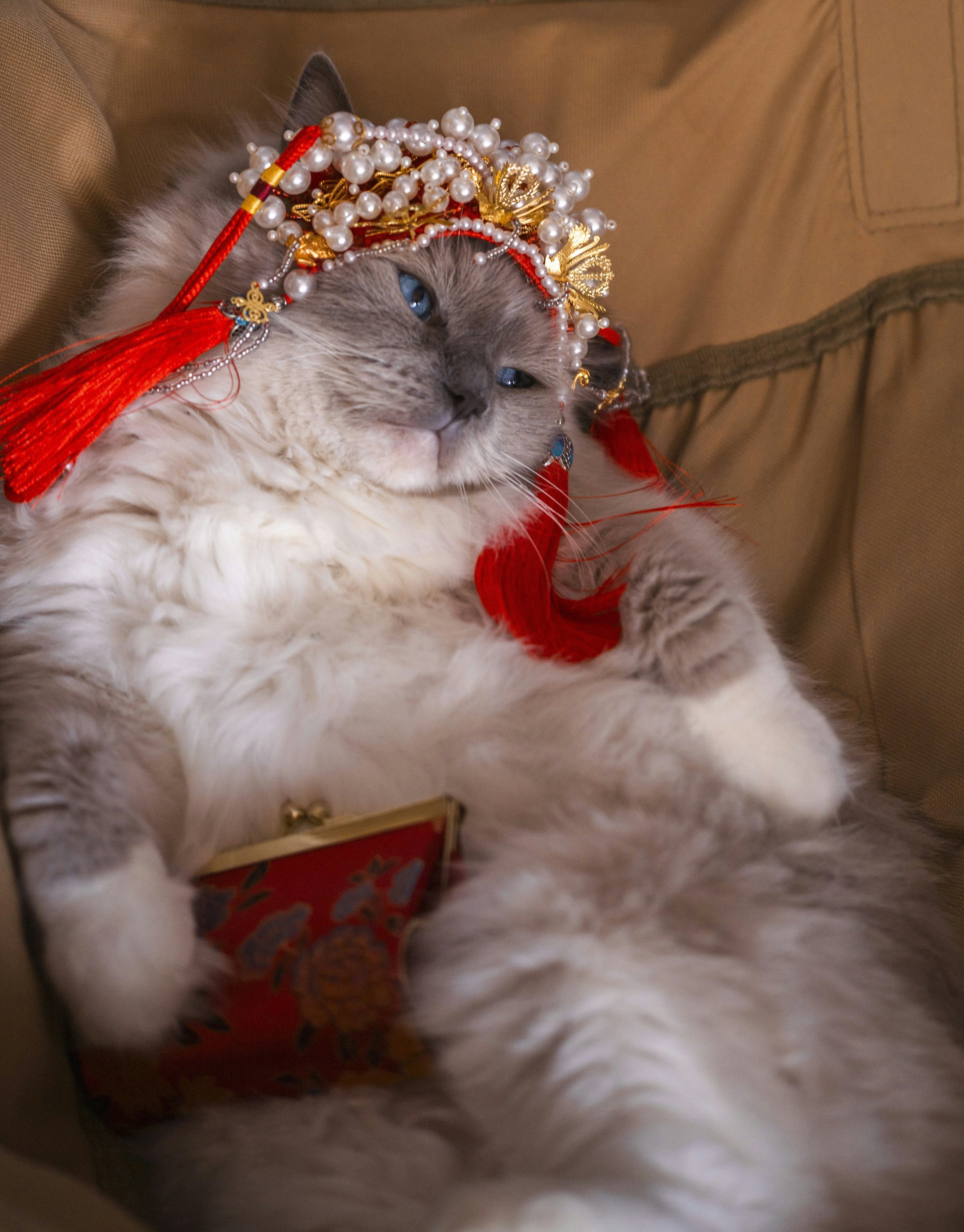Regal Paws: A Portrait of Royal Whimsy