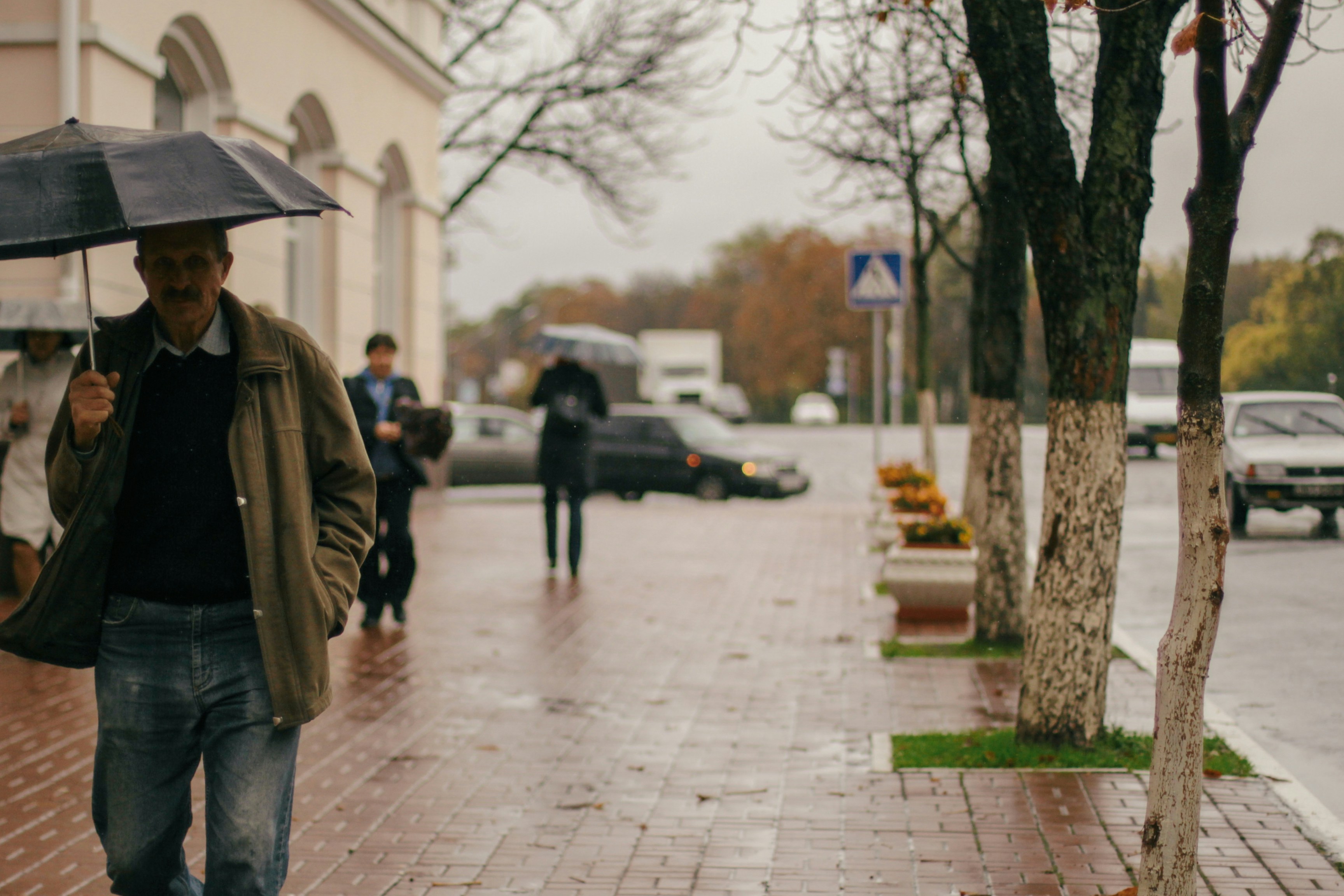 Umbrellaed Walk in a Rainy Downtown