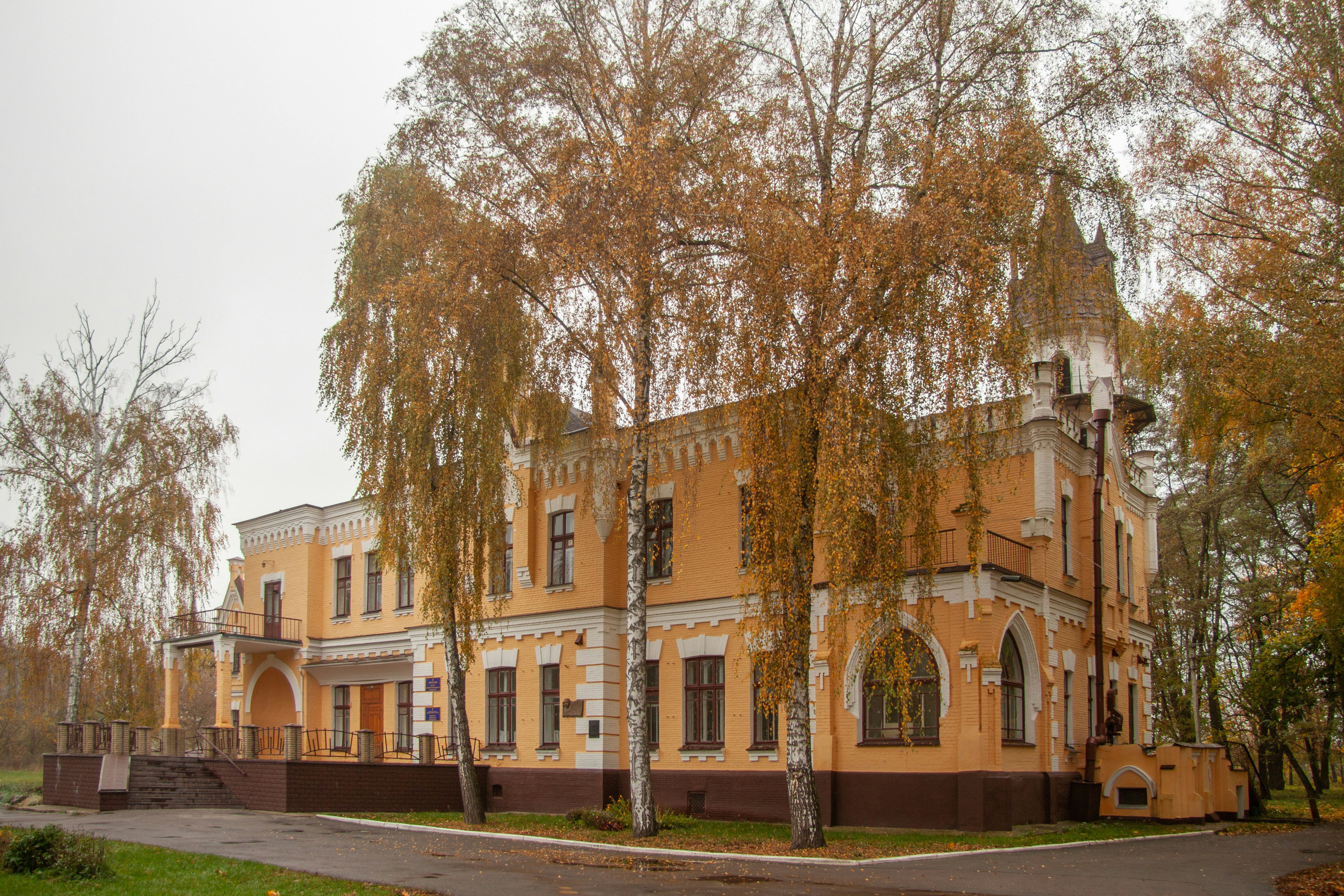 Autumn Facade: A Peach-Hued Mansion Framed by Golden Trees