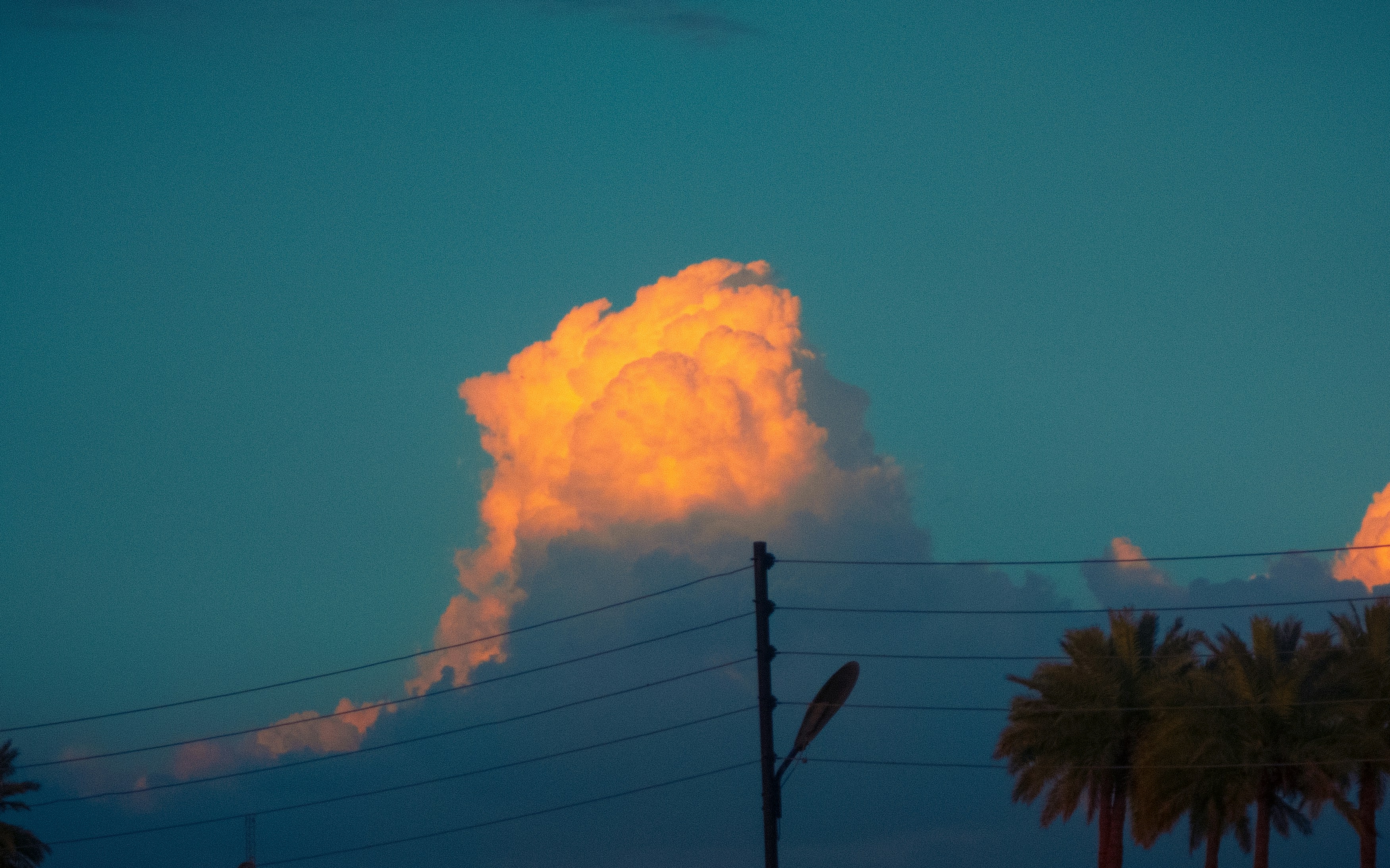 Deep blue sky frames a glowing orange cloud above power lines and palm silhouettes, emphasizing quiet urban twilight scale.