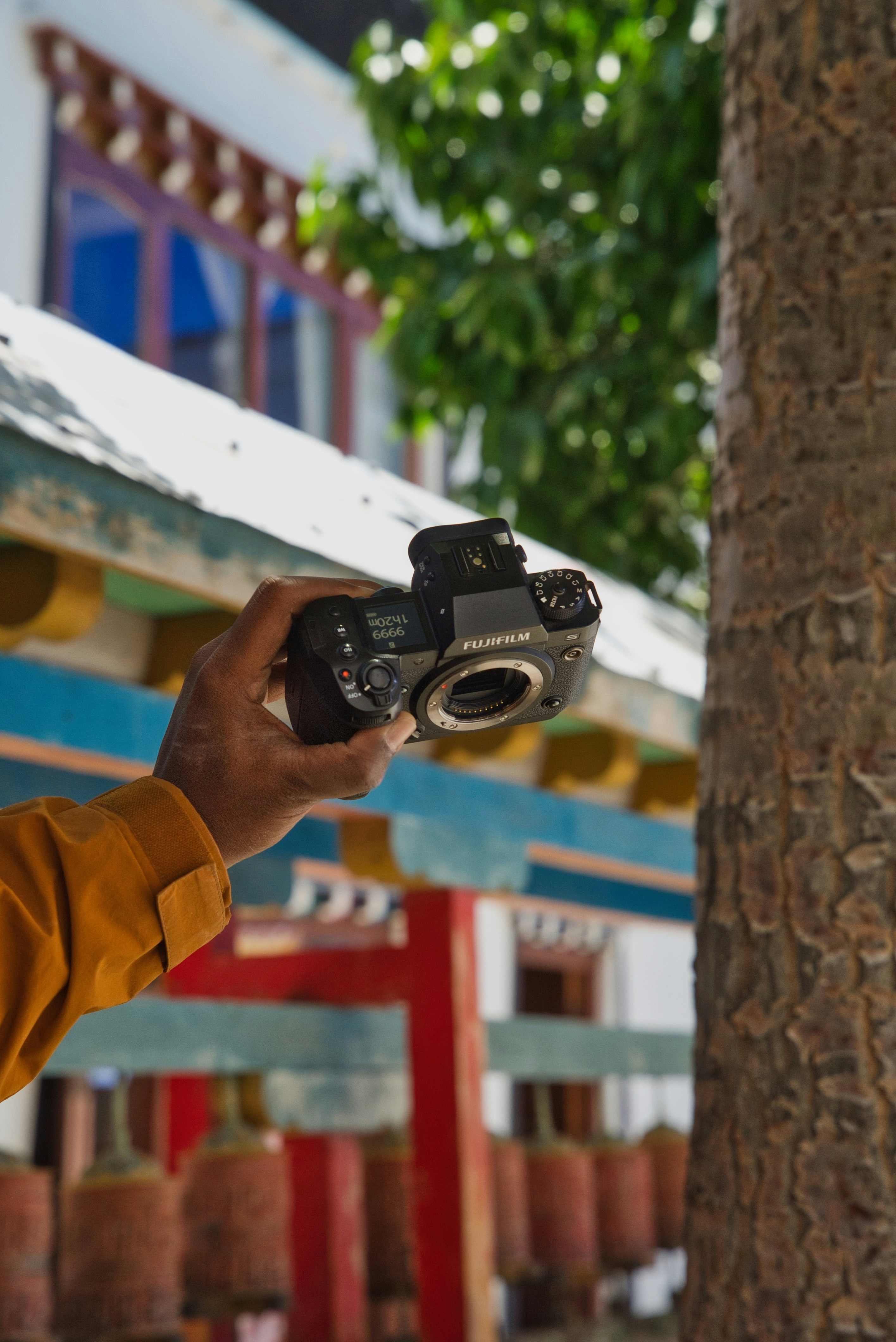 Close-up of a hand holding a vintage-looking Fujifilm camera beside a textured tree trunk, with a colorful blurred backdrop of architectural elements. This is a photograph, not a painting or illustration.