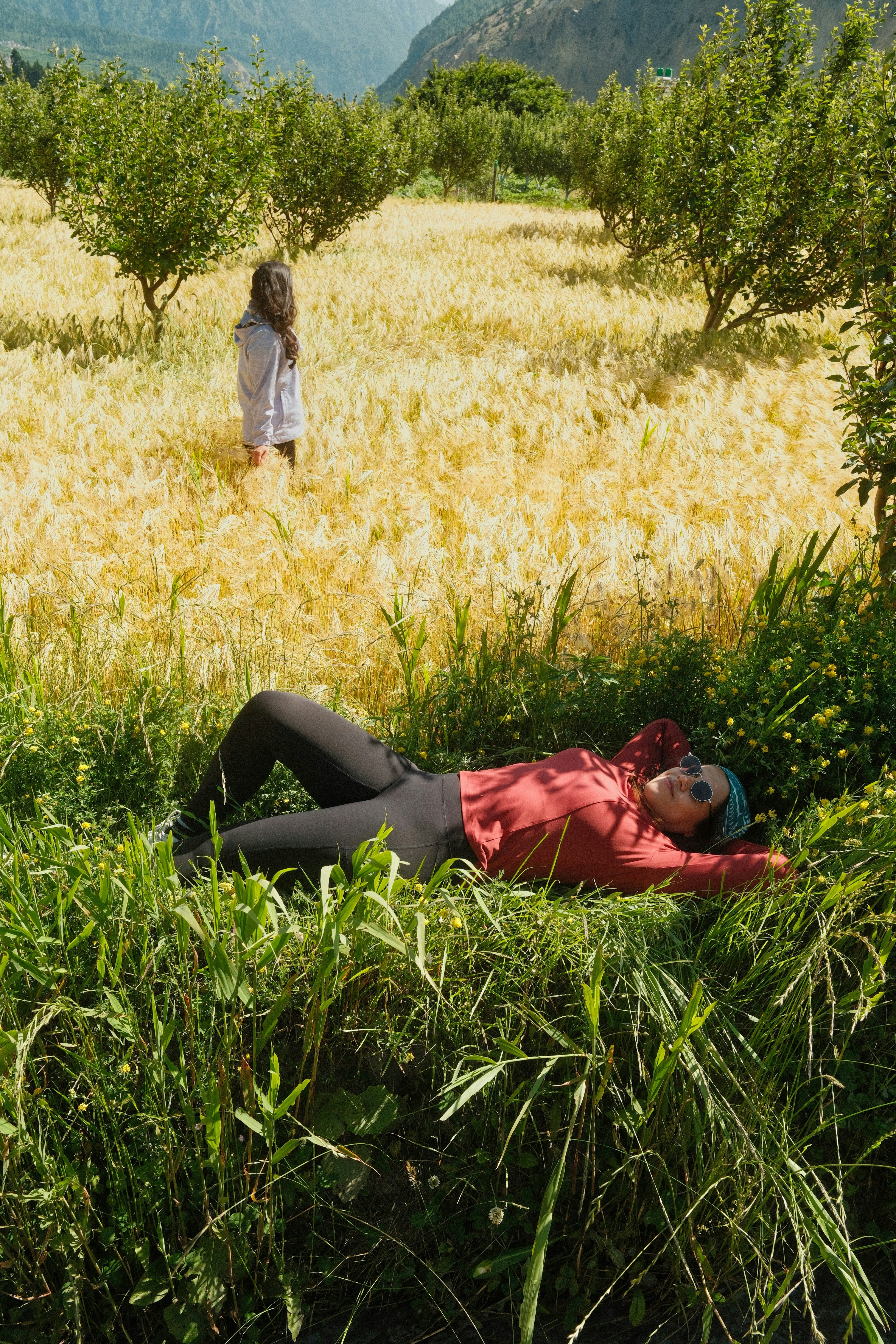 Sunlit Orchard Reverie: A Relaxed Figure Among Golden Fields