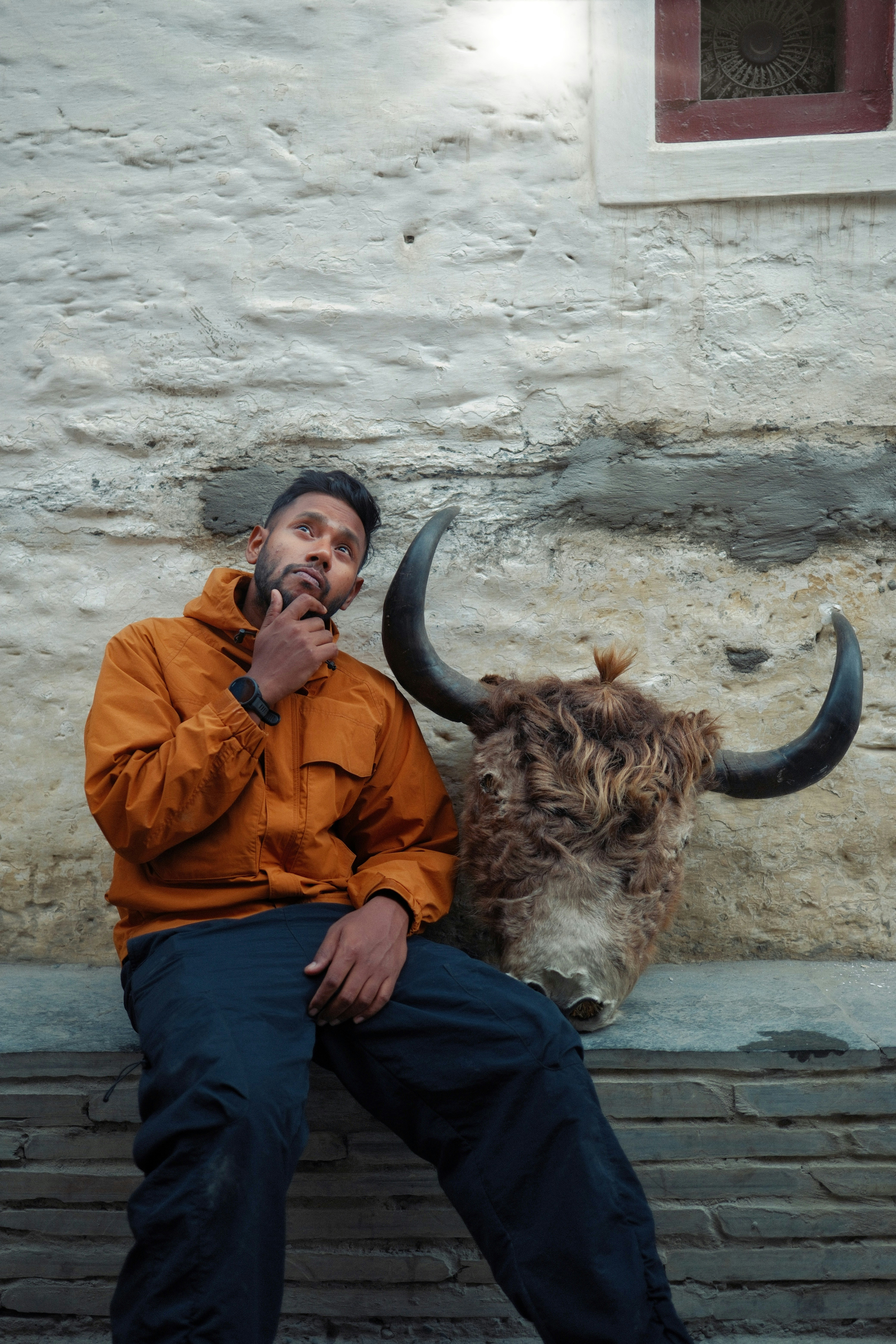 Quiet Contemplation with a Horned Companion