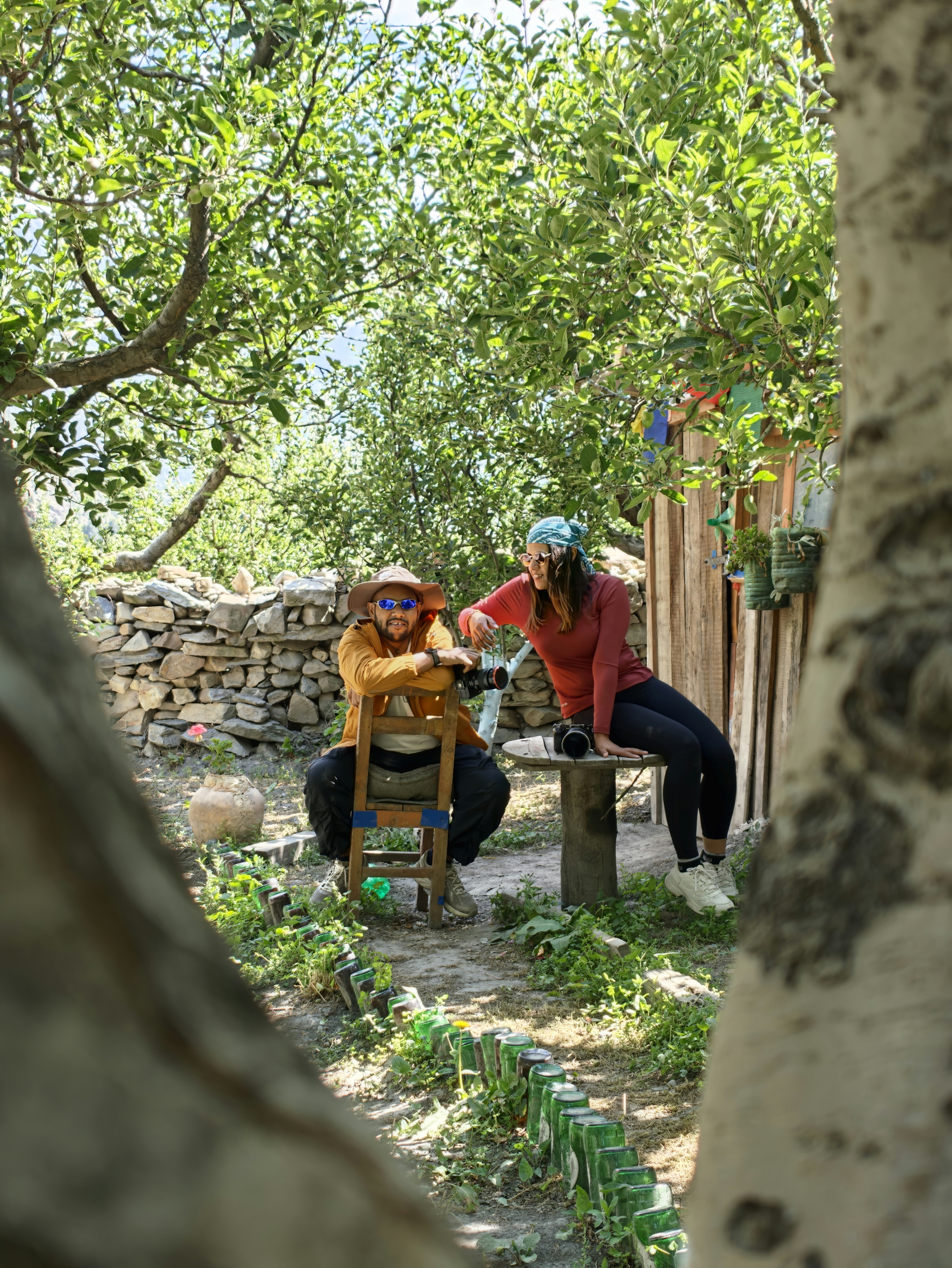 Garden Studio: Two Friends Under the Orchard Canopy