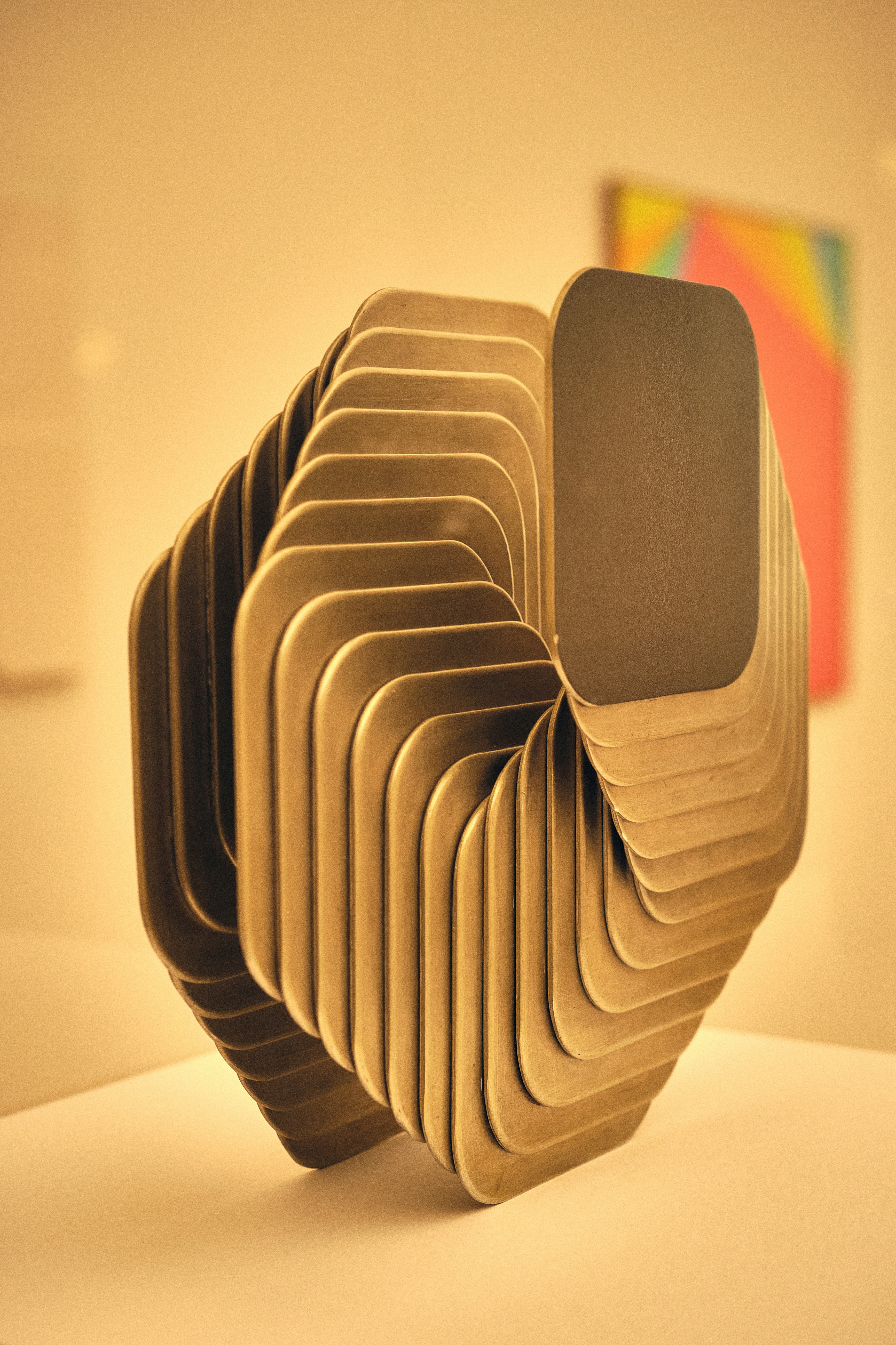 Nested Geometry: a warm-toned sculpture-in-focus