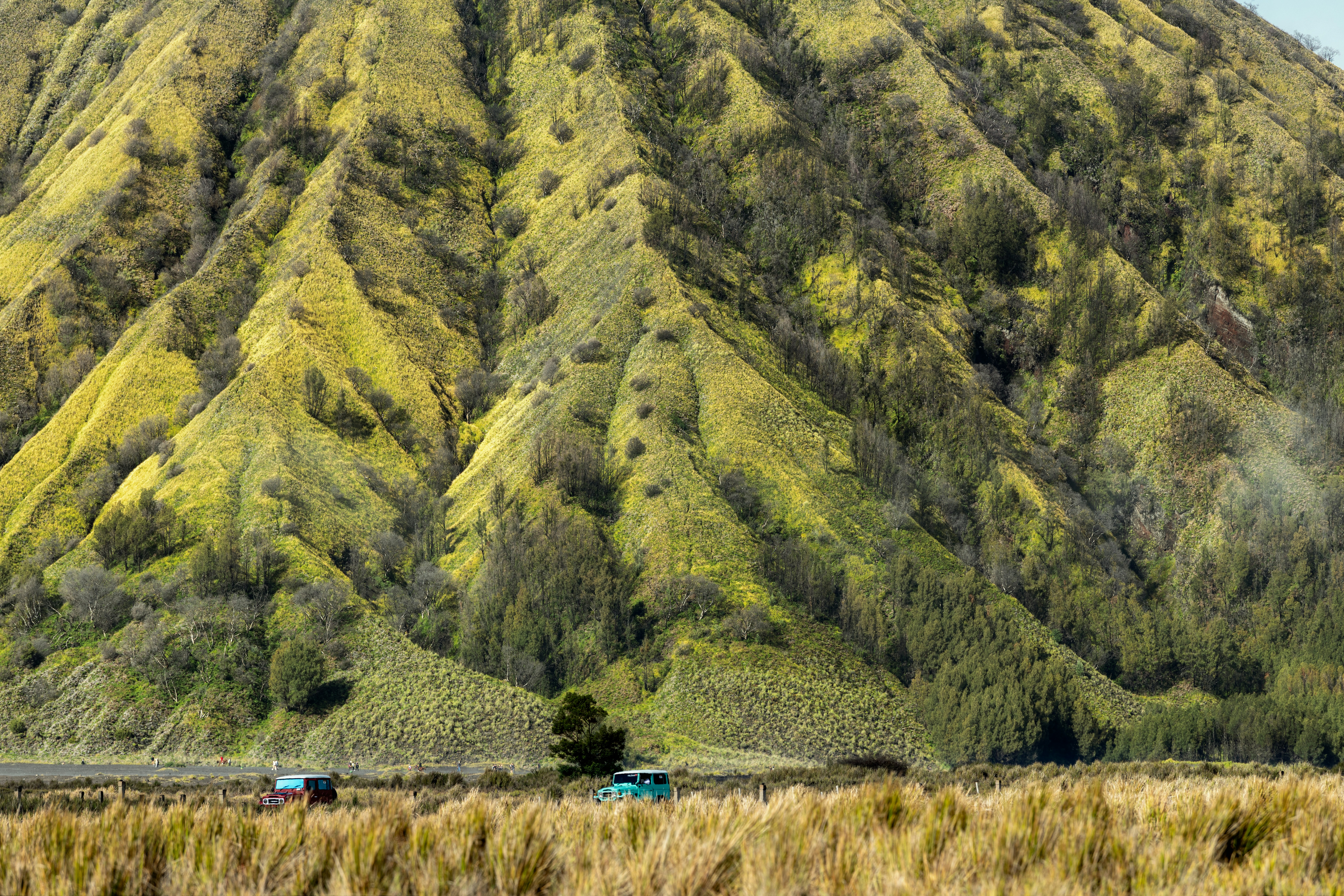 Rolling emerald ridges loom over a flat marsh with distant blue vehicles, highlighting textured contours and a wide, natural landscape.