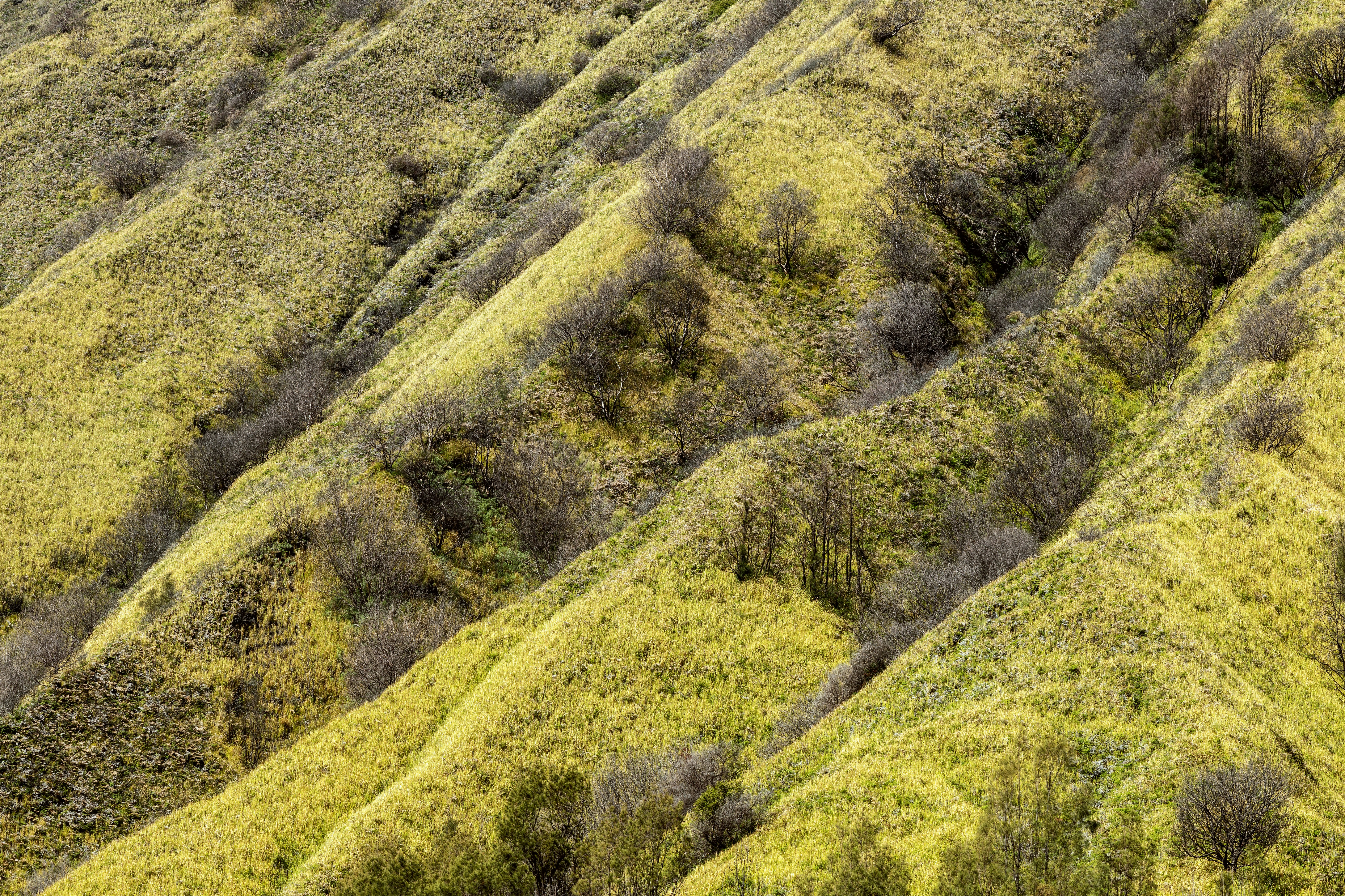 Lush, undulating hills covered in moss and scrub create a textured landscape with diagonal ridges and subtle color variation.