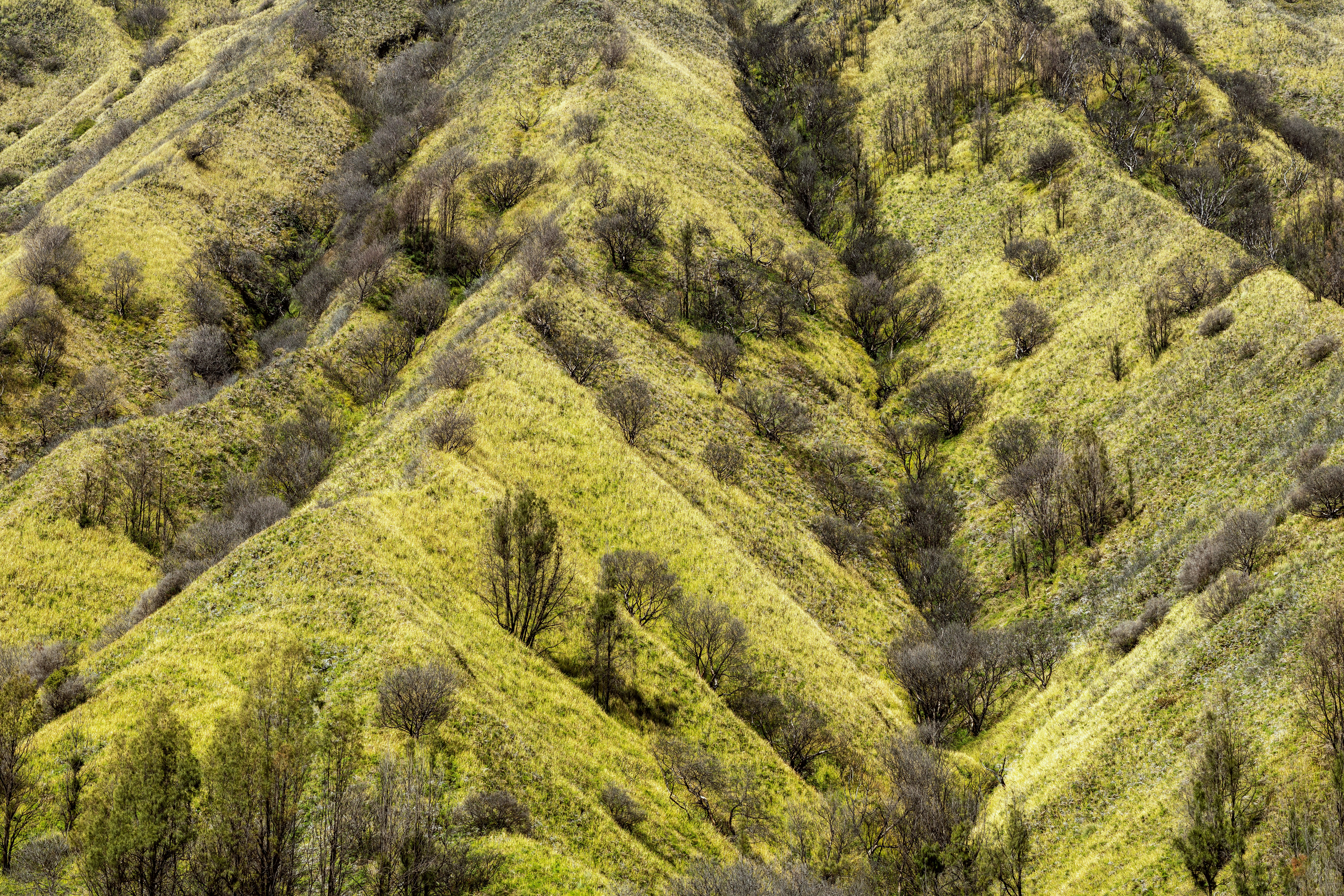 Close-ups of Mount Batok, a cinder cone located in East Java, Indonesia. This inactive volcano has an elevation of 2,440 metres (8,005 ft) above sea level, and is located west from Mount Bromo. Mount Batok is part of Bromo Tengger Semeru National Park.