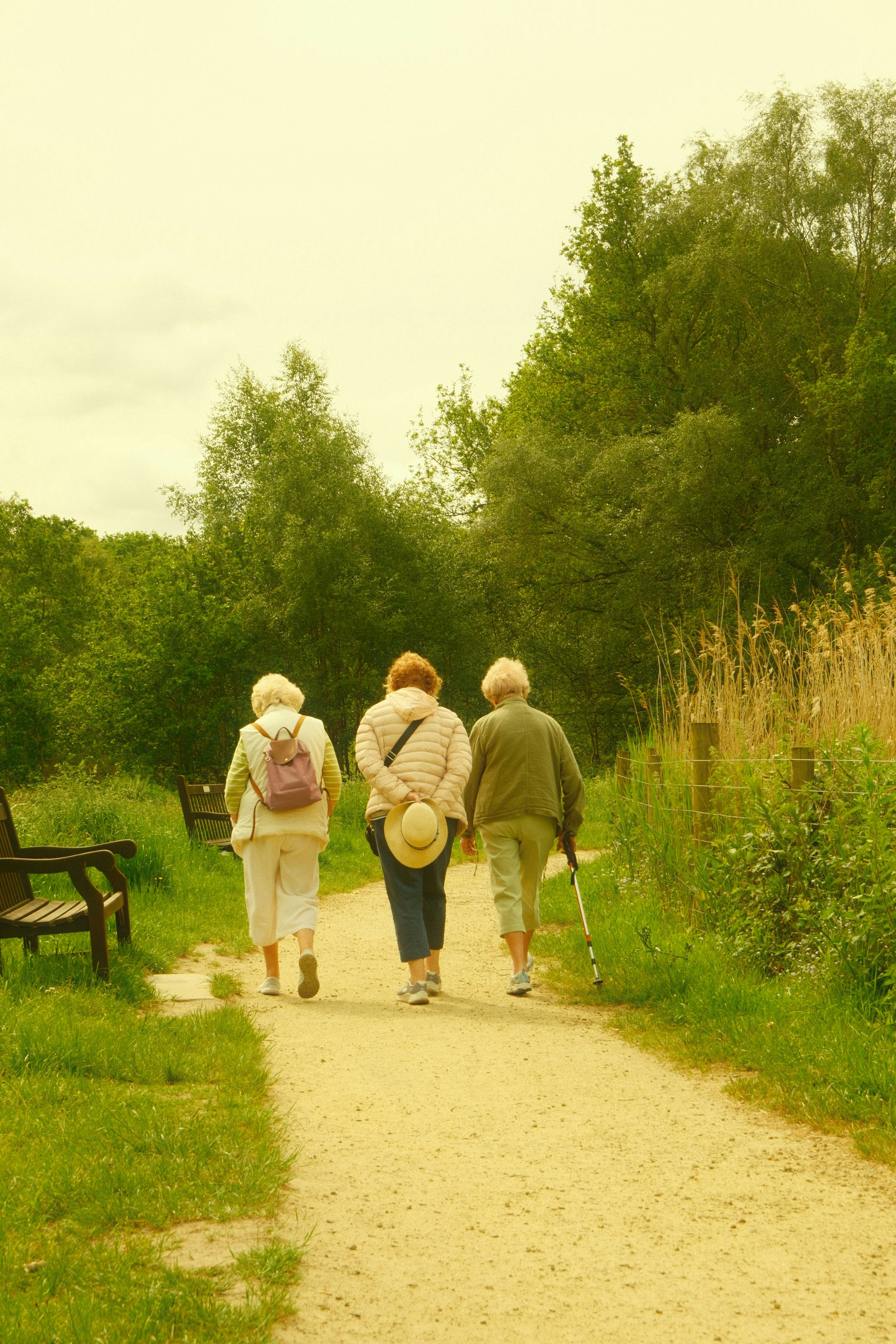 Golden Pathway: A Trio Walks Into the Light