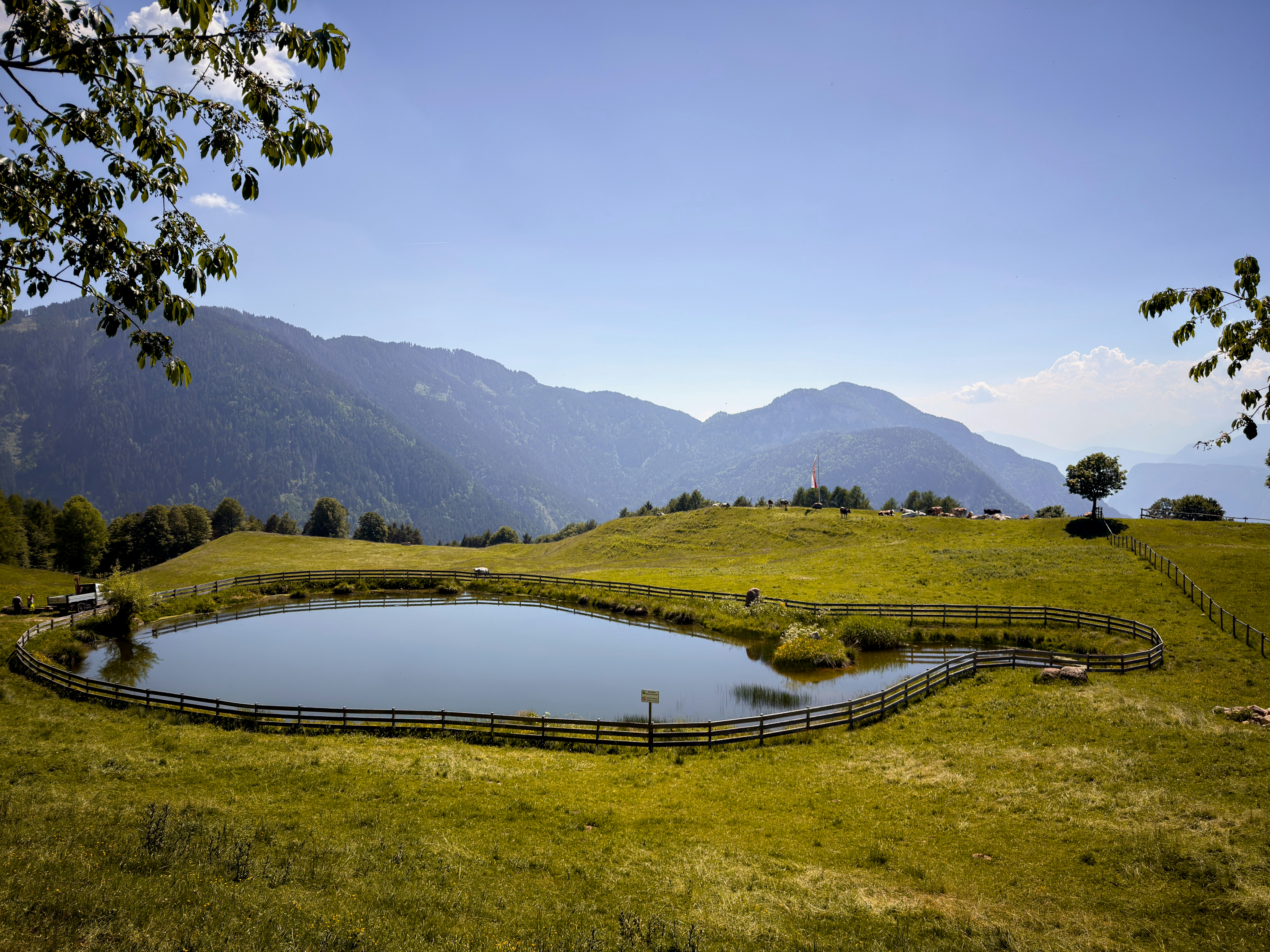 A tranquil hillside pasture surrounds a small, ring-shaped pond, fenced fields stretching toward distant mountains under a clear blue sky.