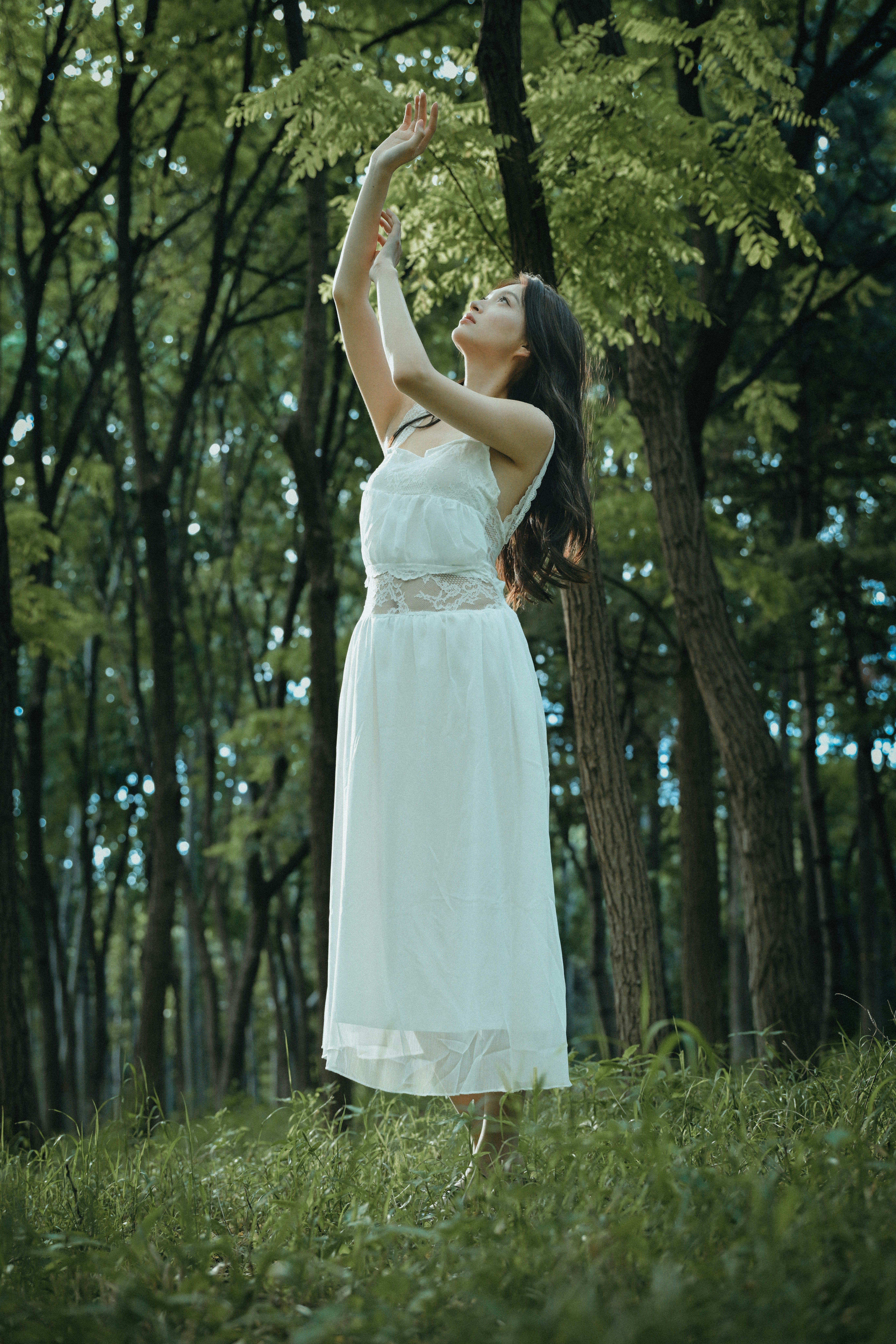 Grace in the Glade: A Silent Ballet Under Green Canopies
