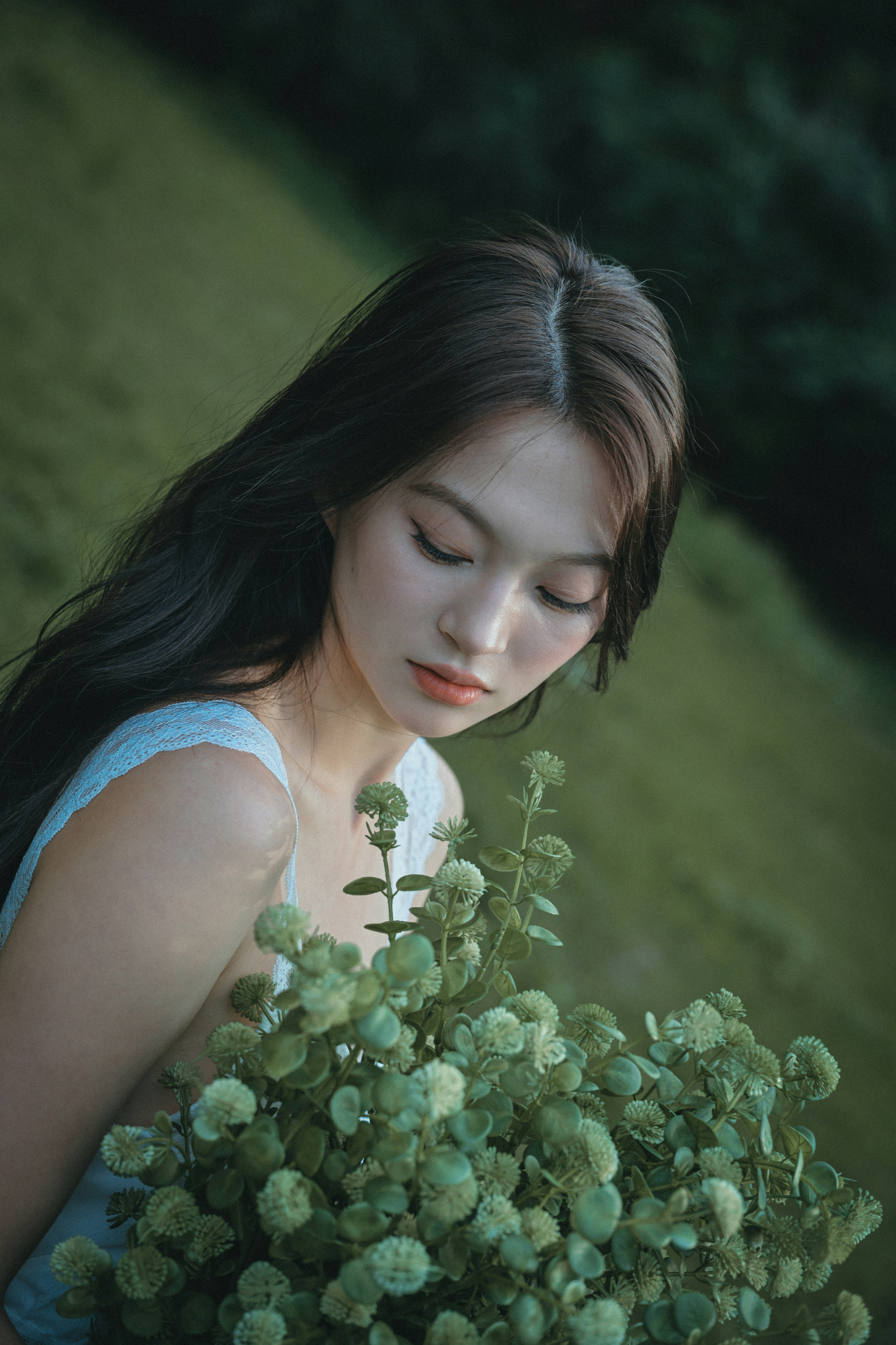 Soft Gaze in a Field of Eucalyptus