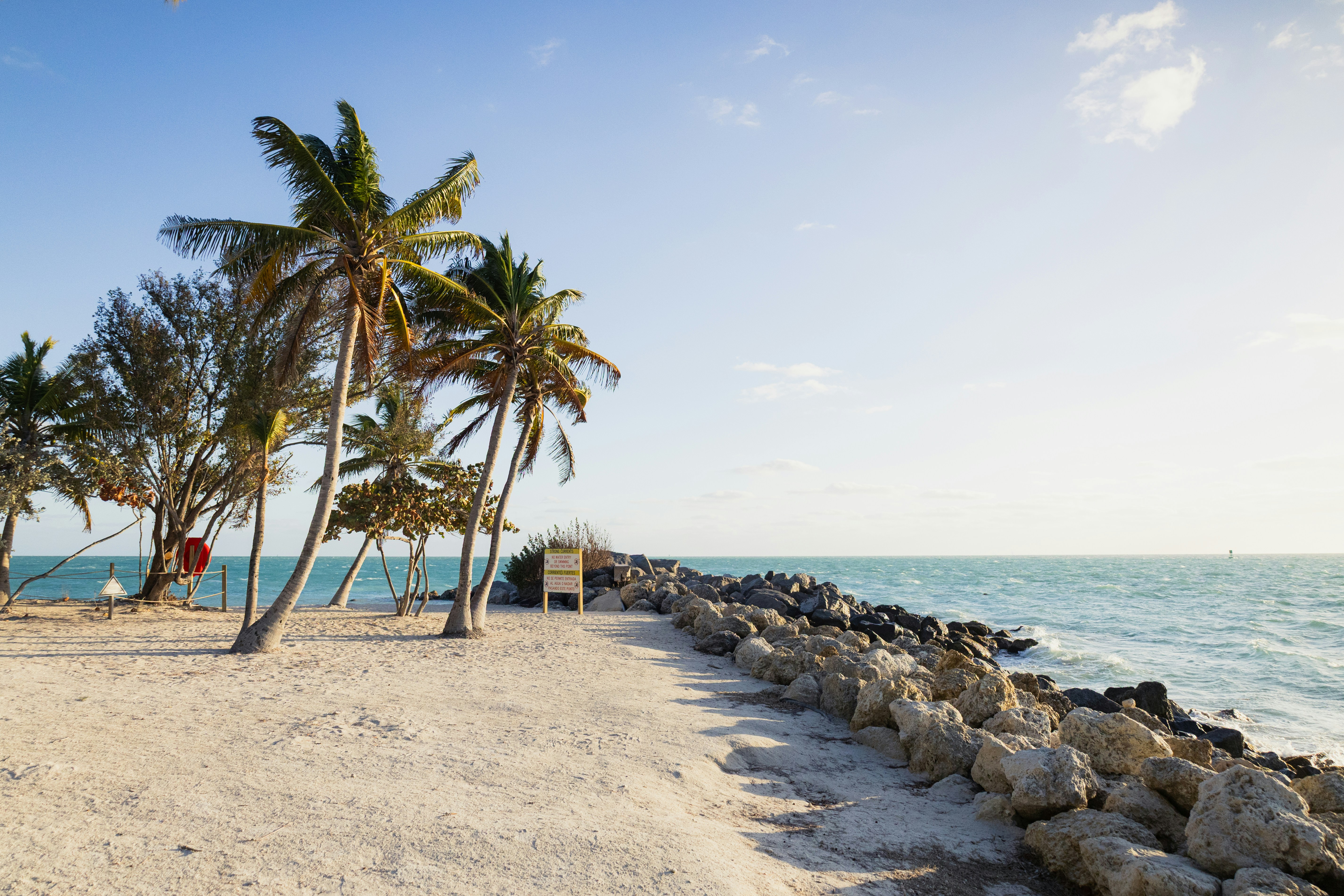 Palm-fringed Breakwater at Quiet Coastal Point
