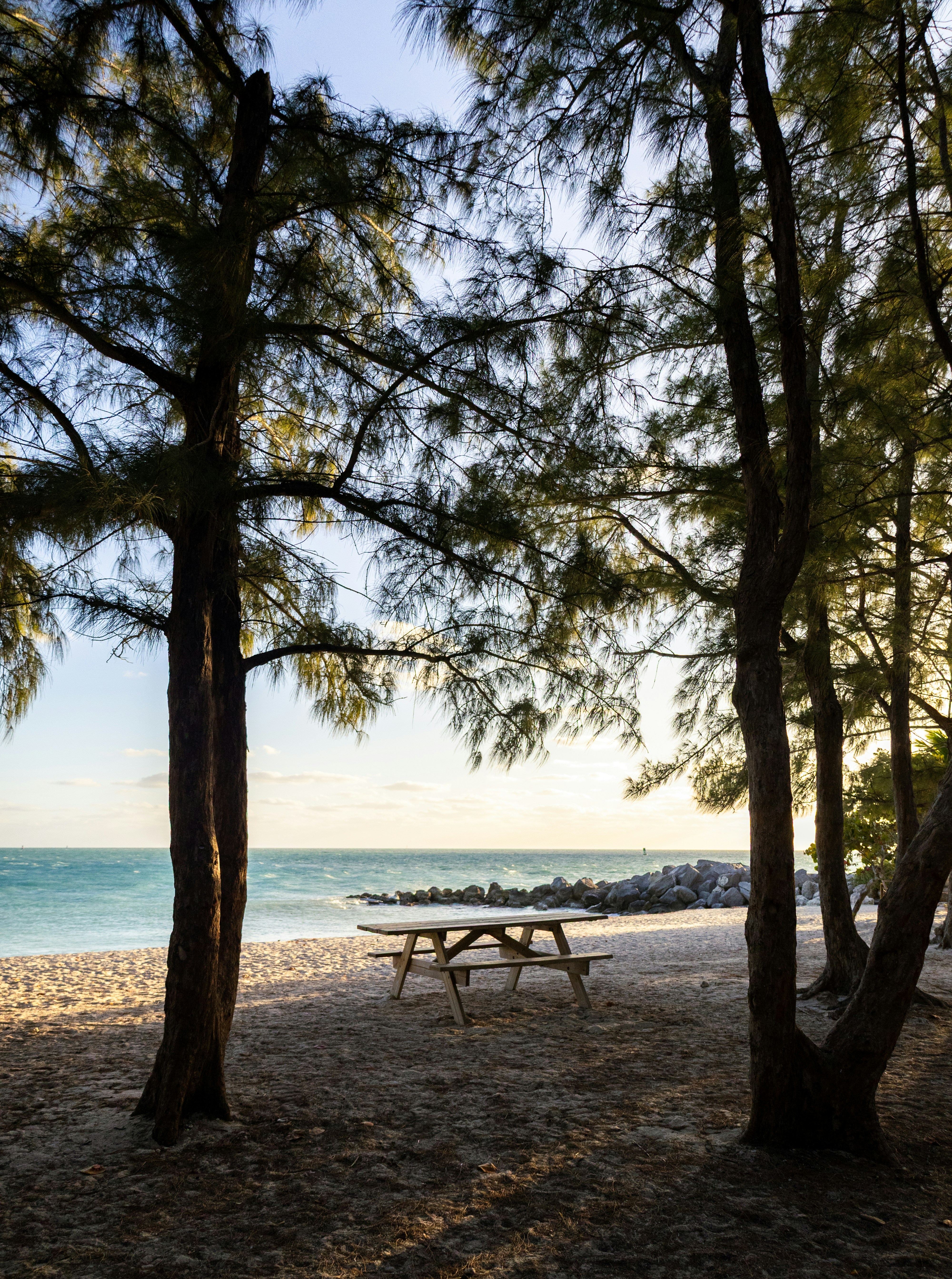 Shaded Clearing by the Sea: A Timbered Table Waiting for Sunset