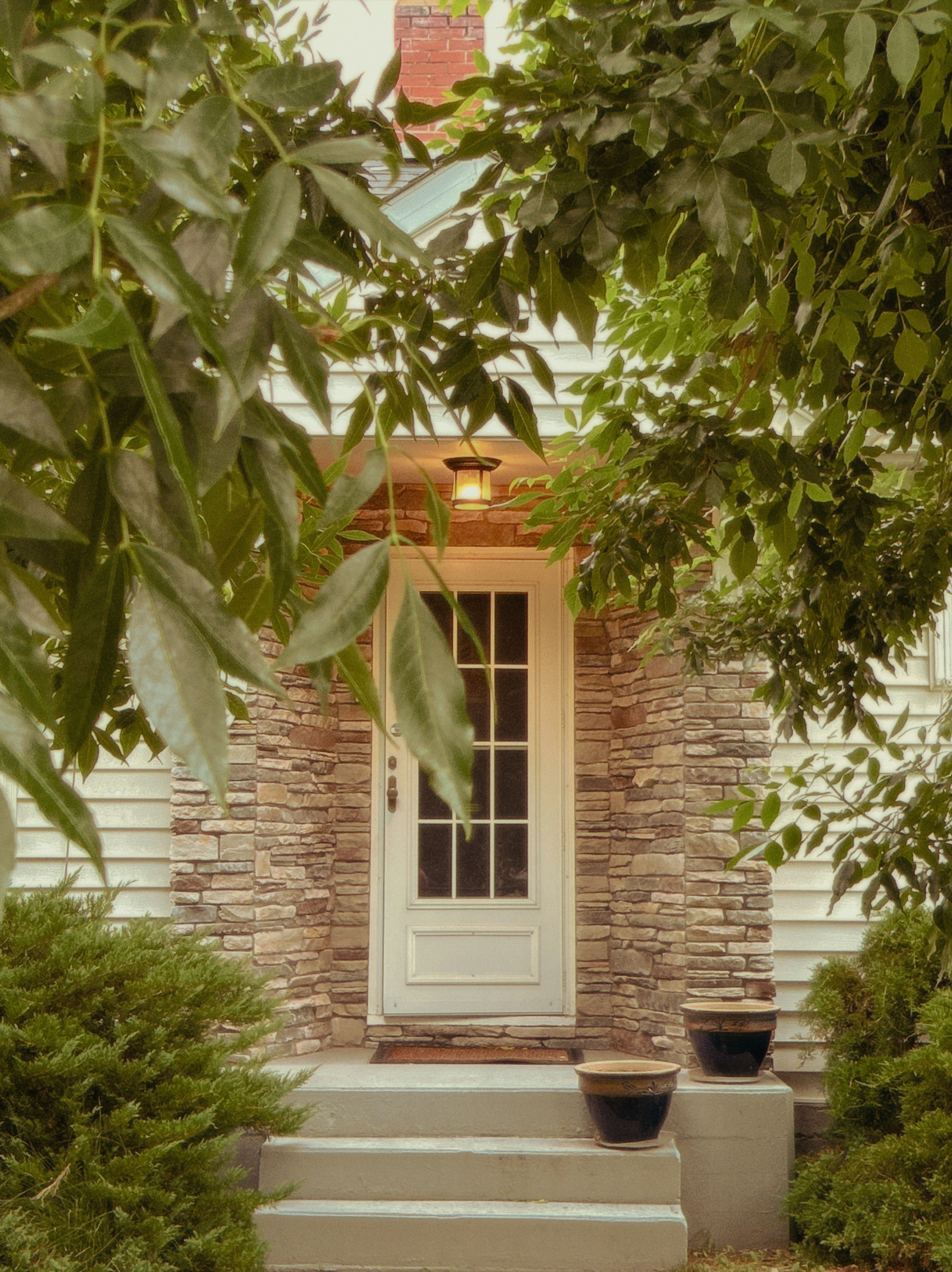 Front Door in a Green Canopy