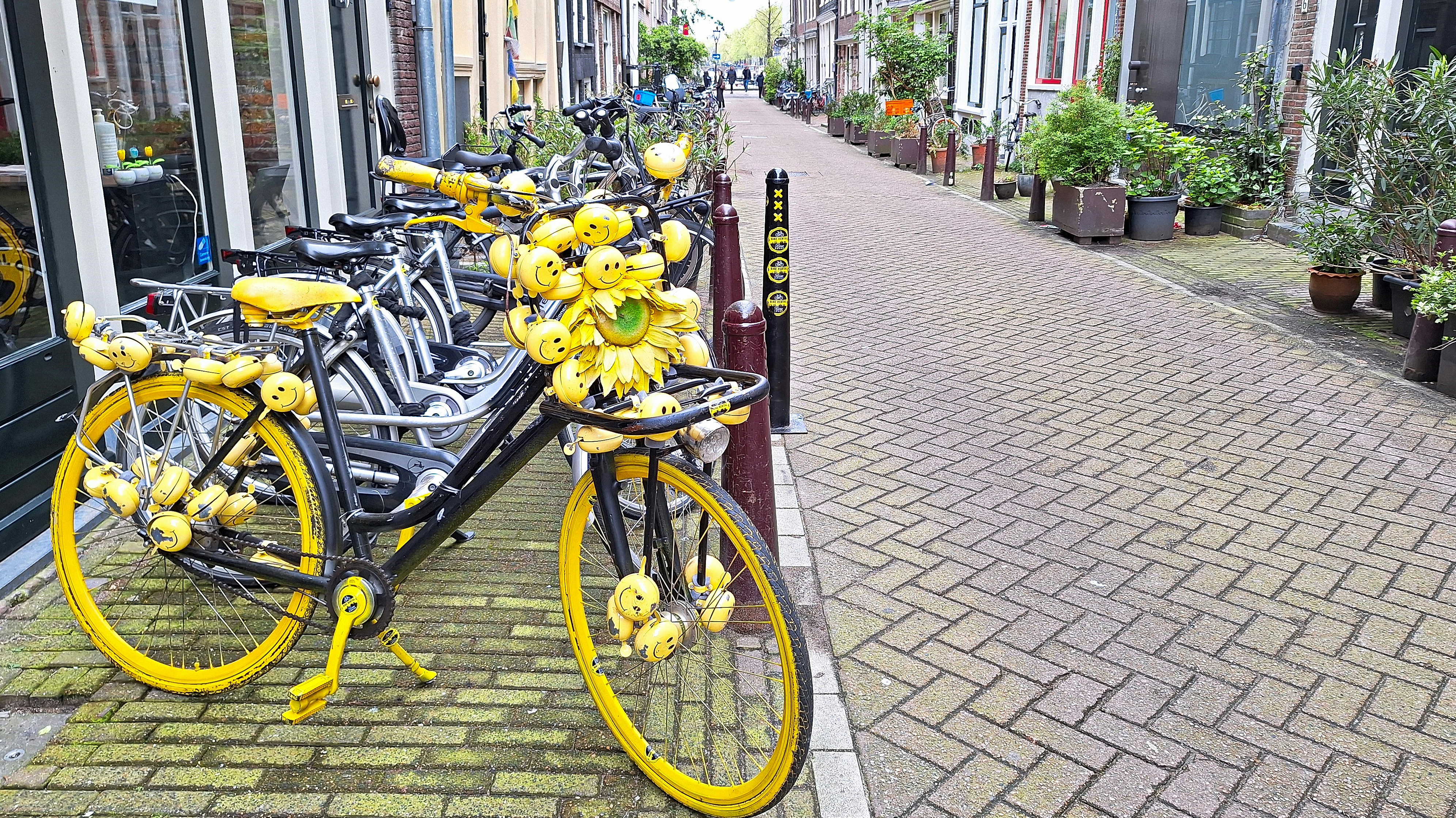 Yellow Bicycles in a Quiet Canal Street