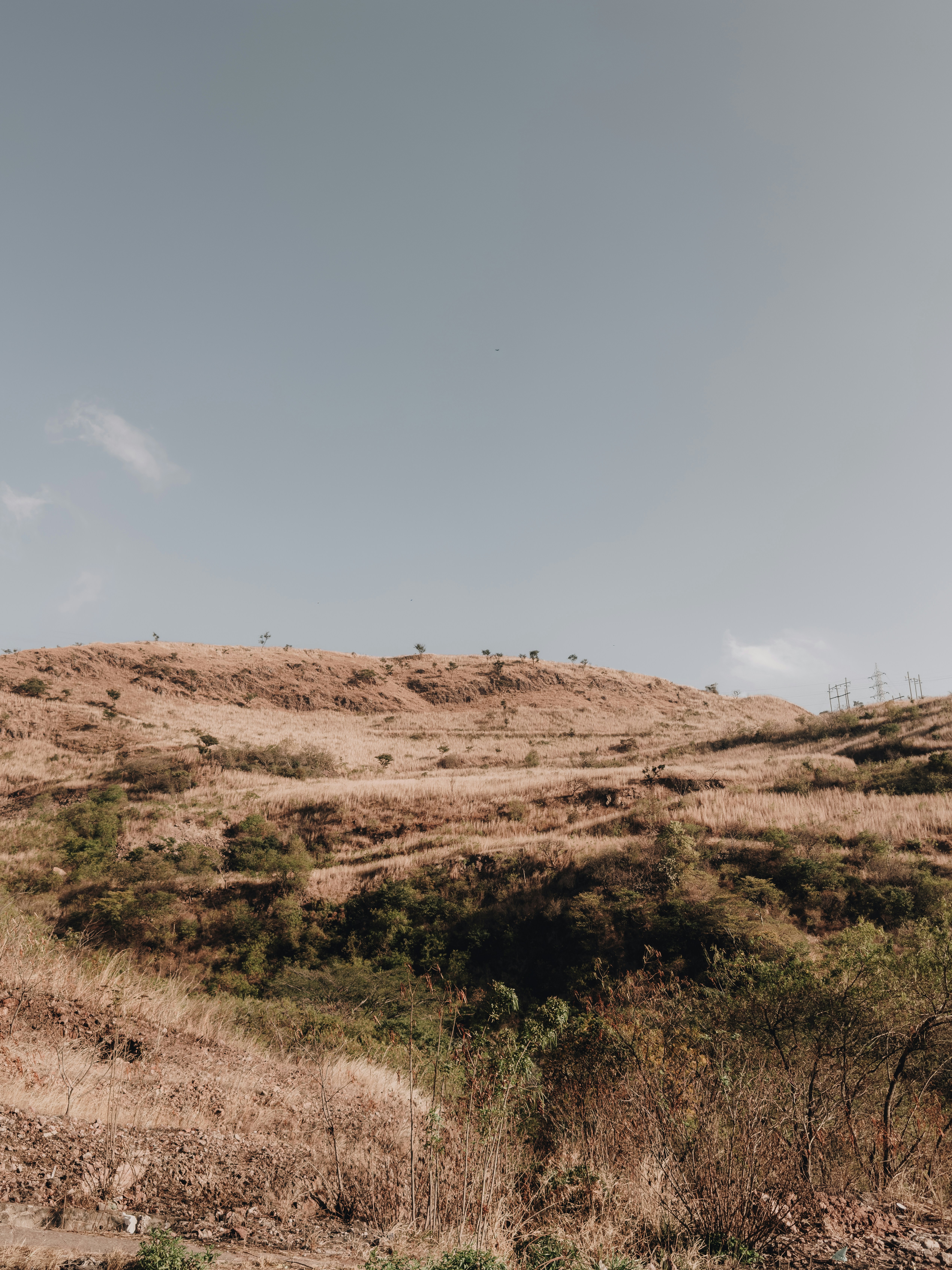 Desert hillside under a clear morning sky