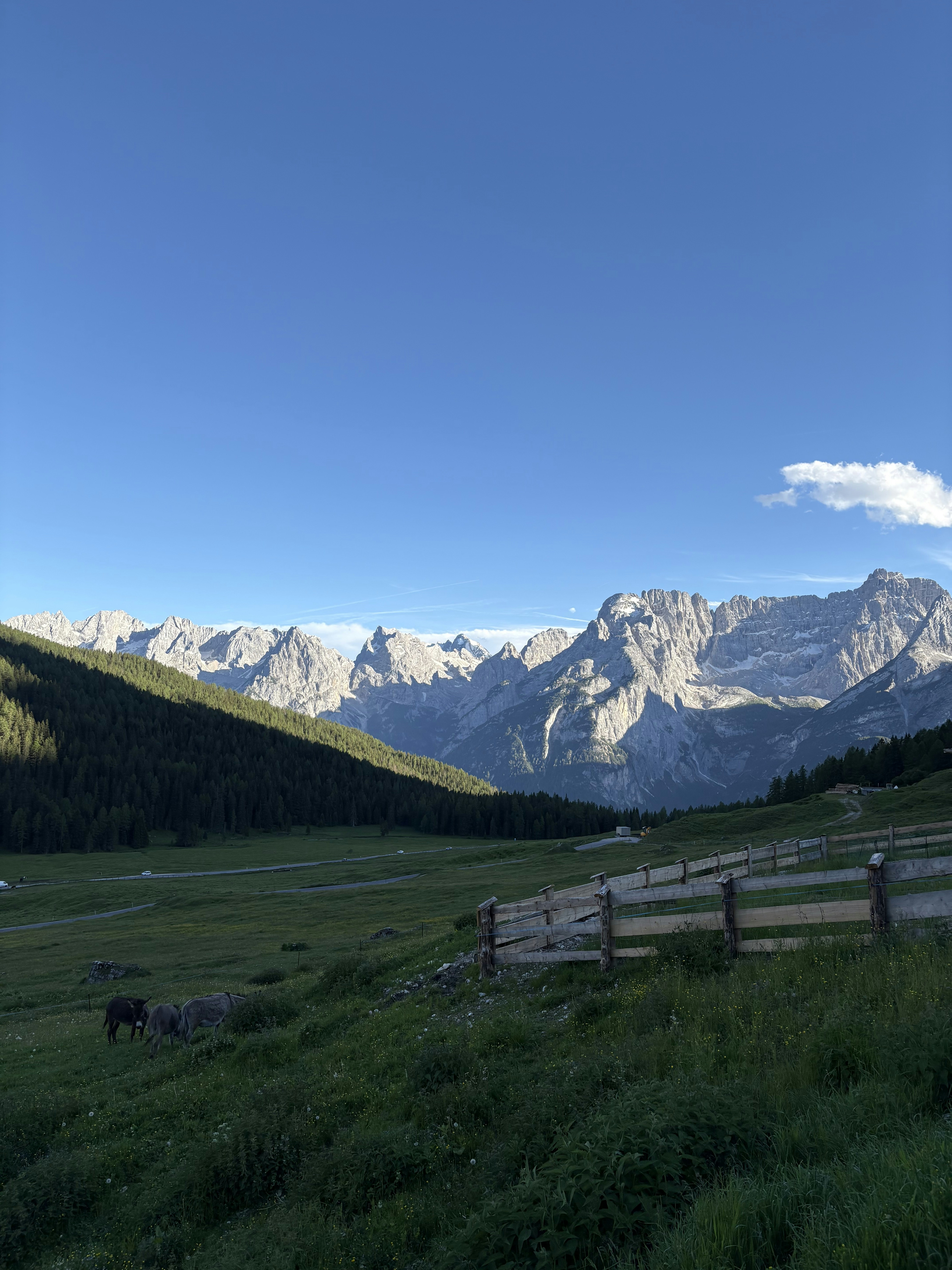 Wide alpine valley with a wooden fence and grazing animals set against rugged mountains under a clear blue sky. A tranquil landscape scene.