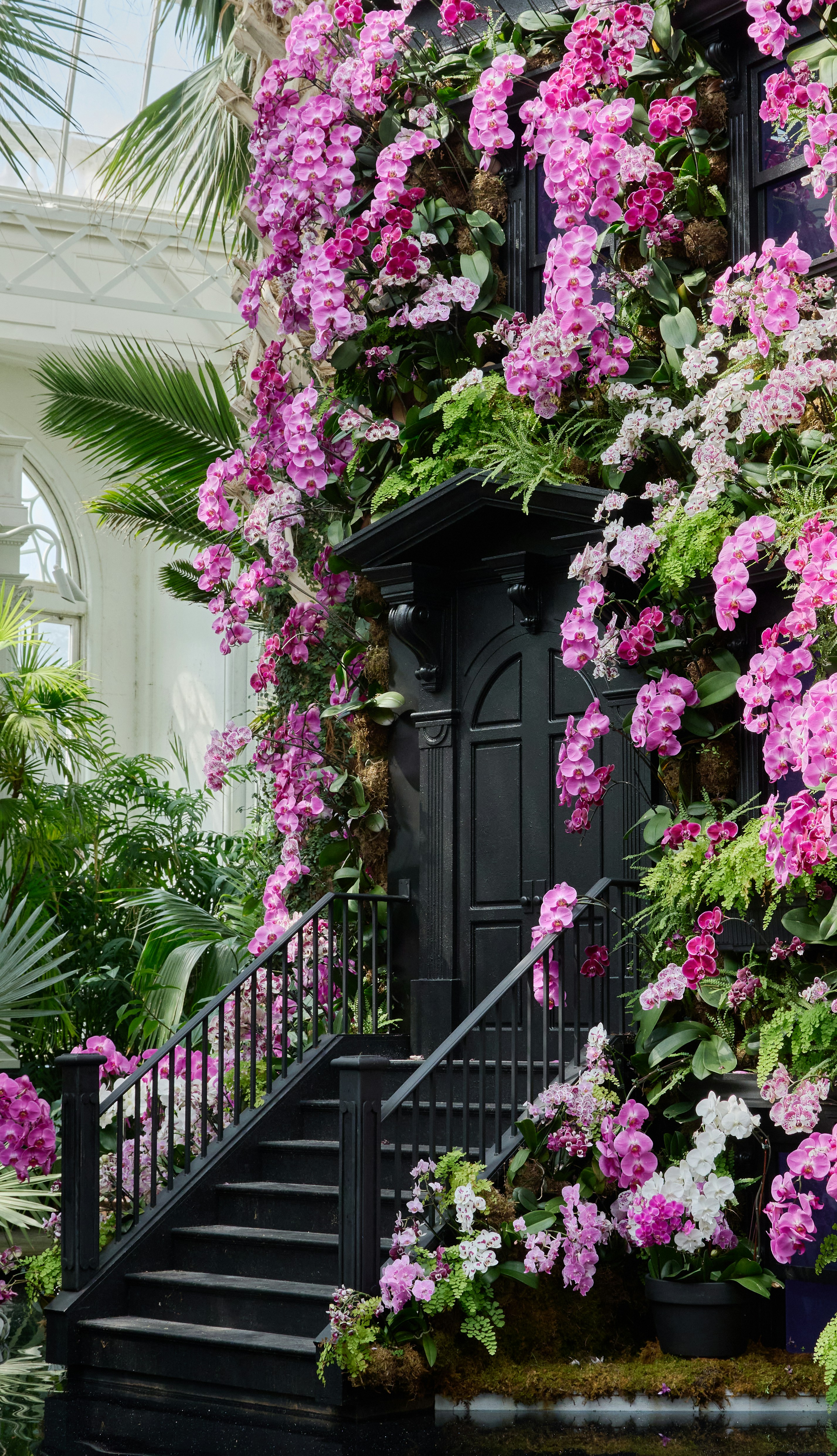 Midnight Doorway Veiled in Cascading Pink