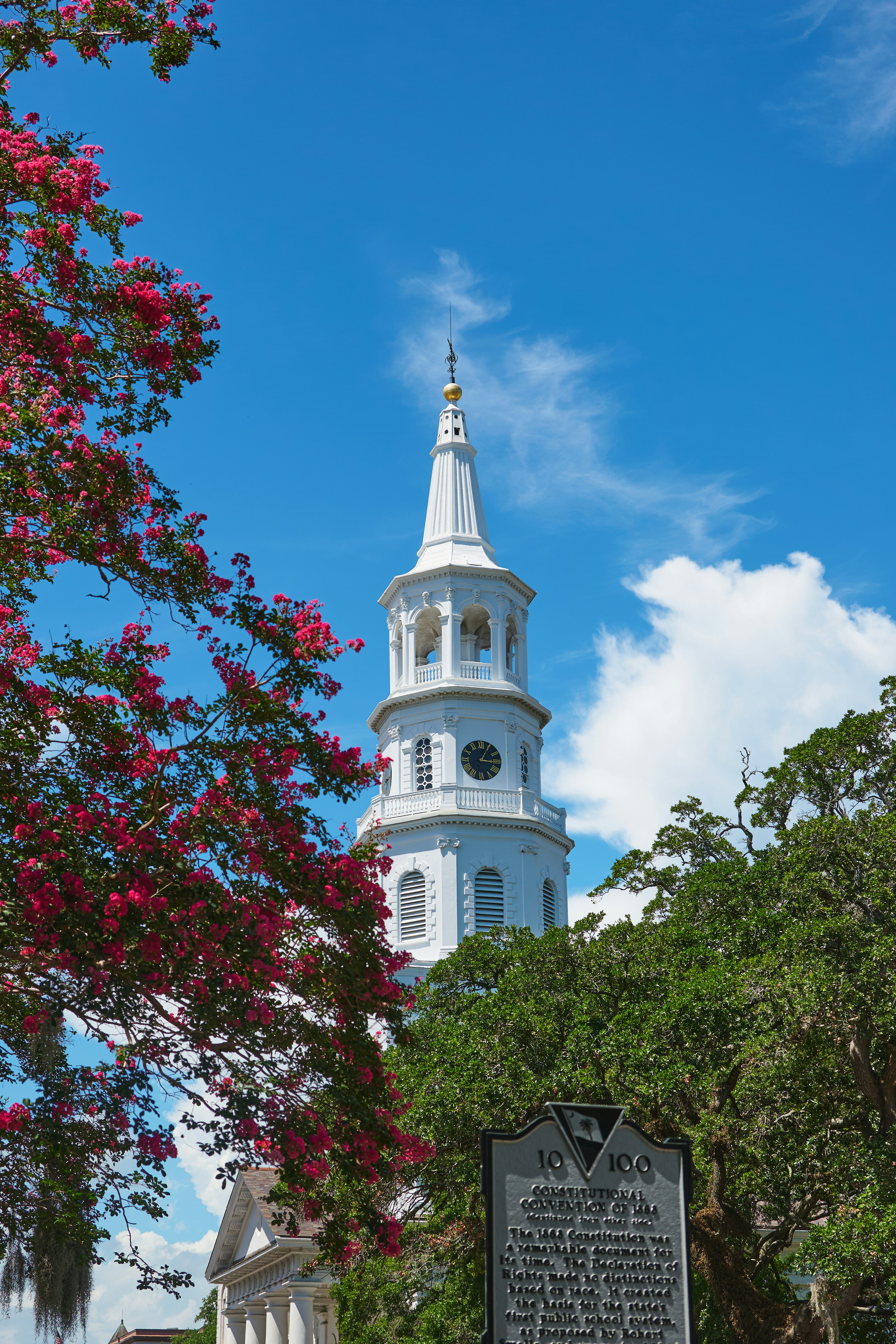 White Steeple Against a Blue Sky Surrounded by Blossoms