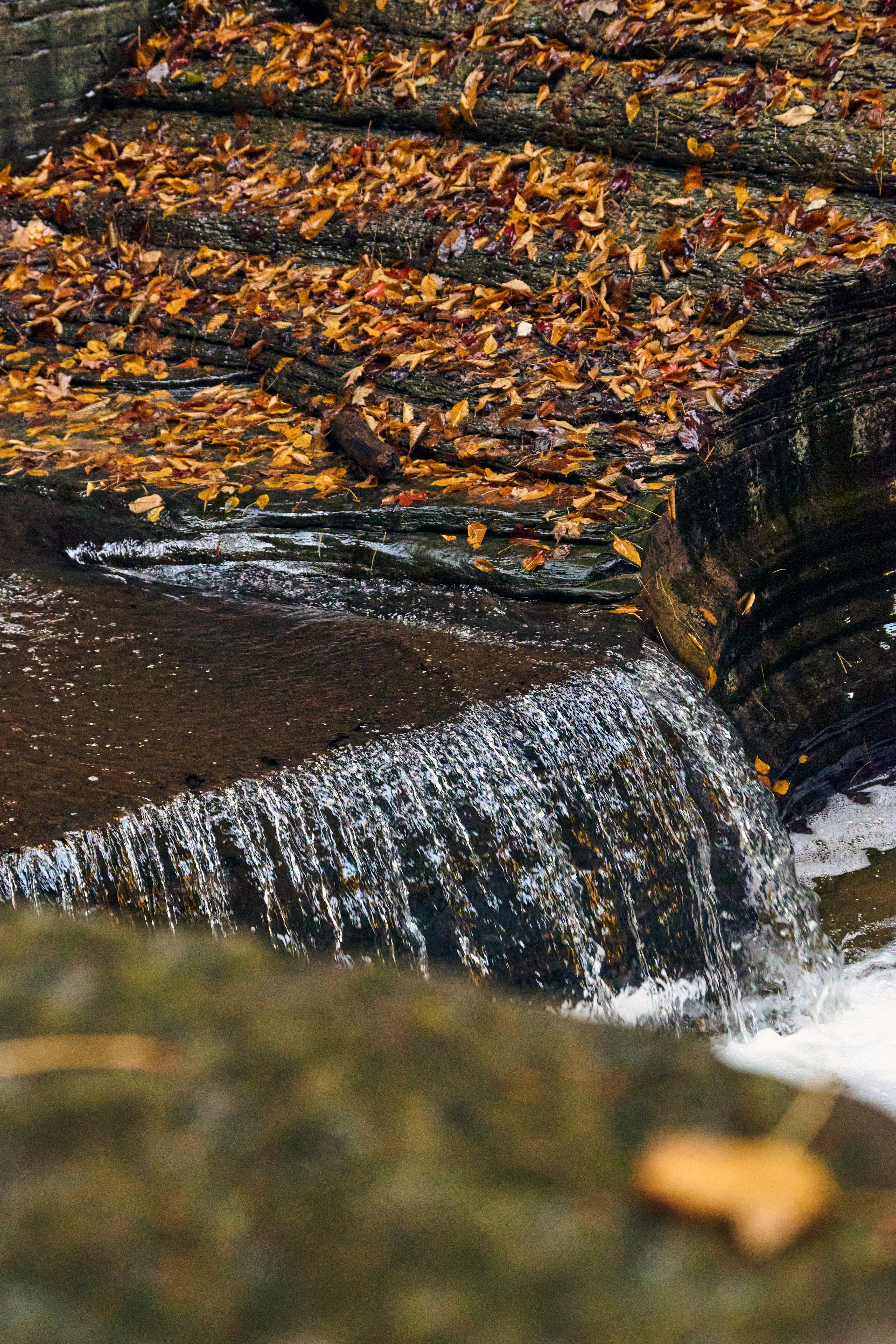 Autumn Steps: Leaves Cascading Over Weathered Stone by a Quiet Channel