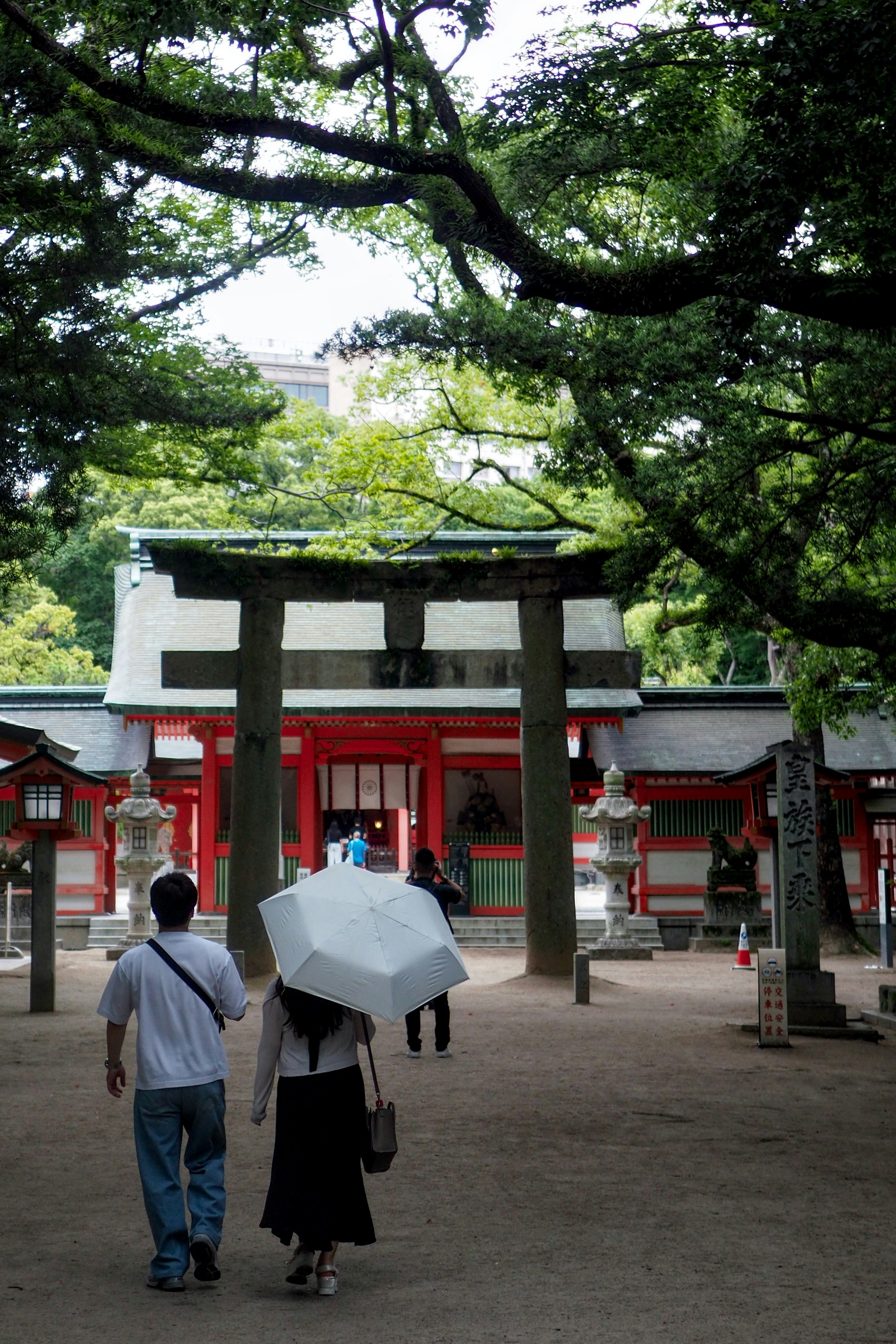 Umbrella Walk Toward the Torii: A Quiet Shrine Moment
