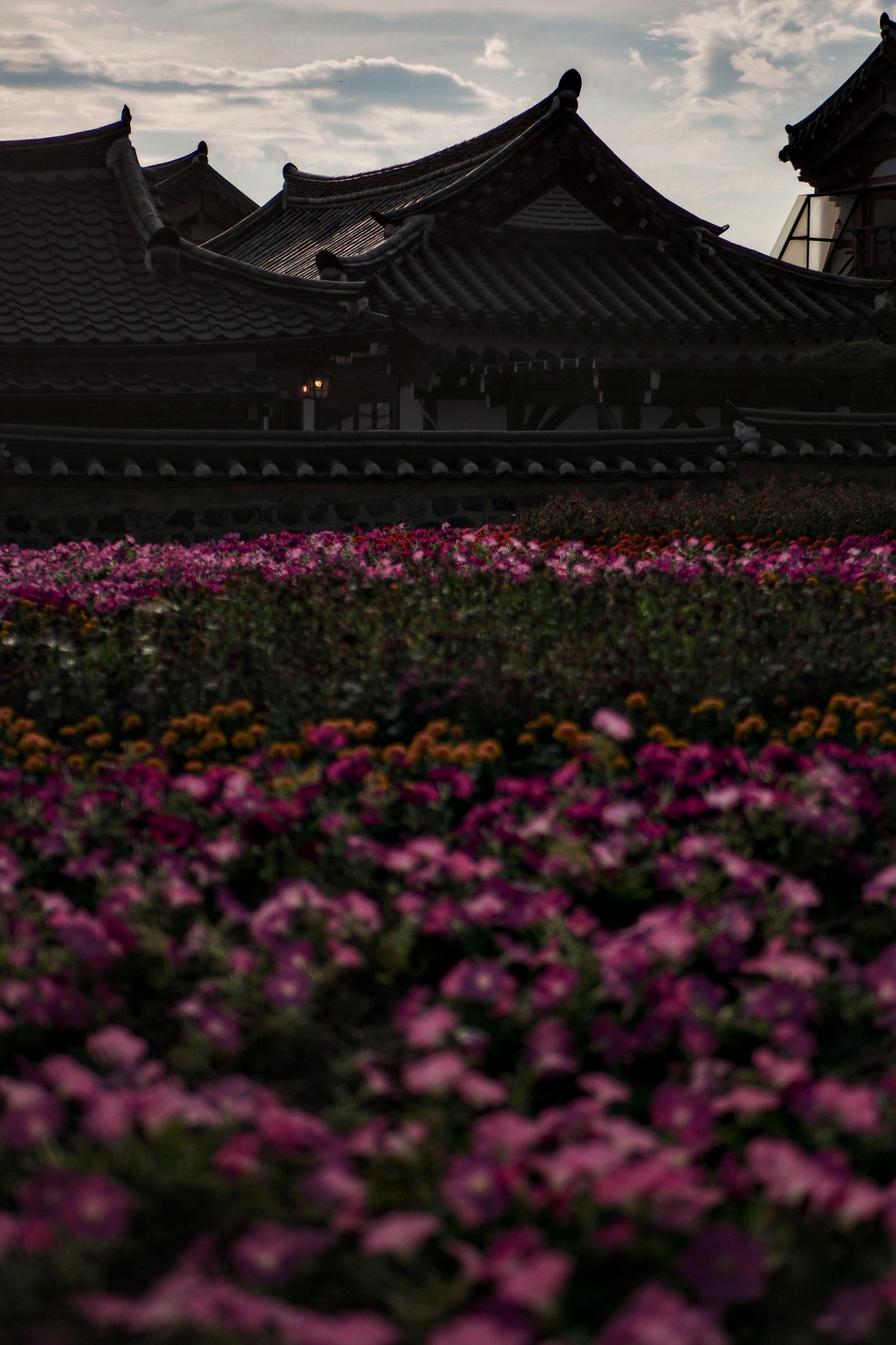 Moonlit gardens and tiled rooftops: a serene temple silhouette behind sea of blooms