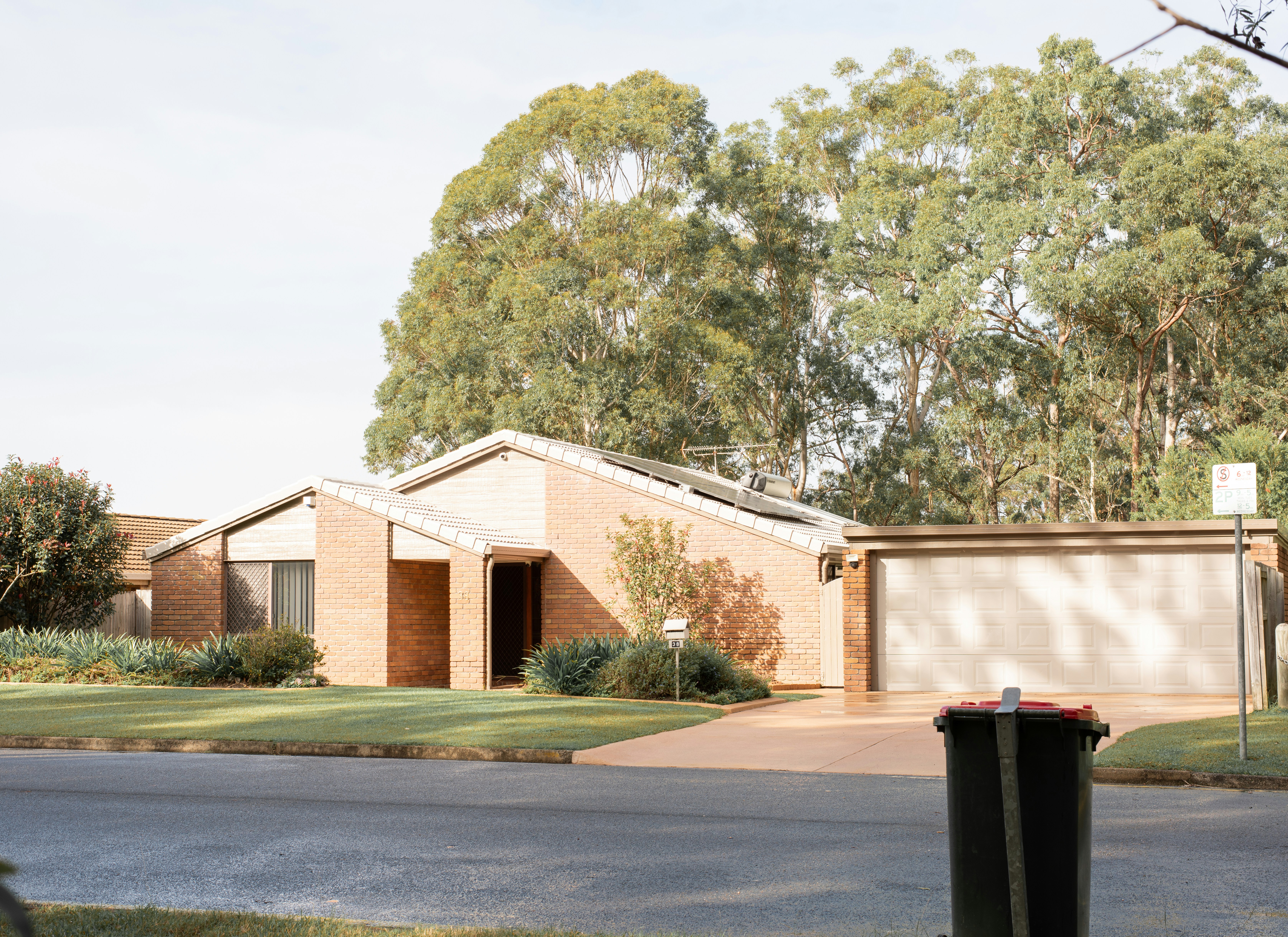 Evening Light on a Quiet Suburban Drive
