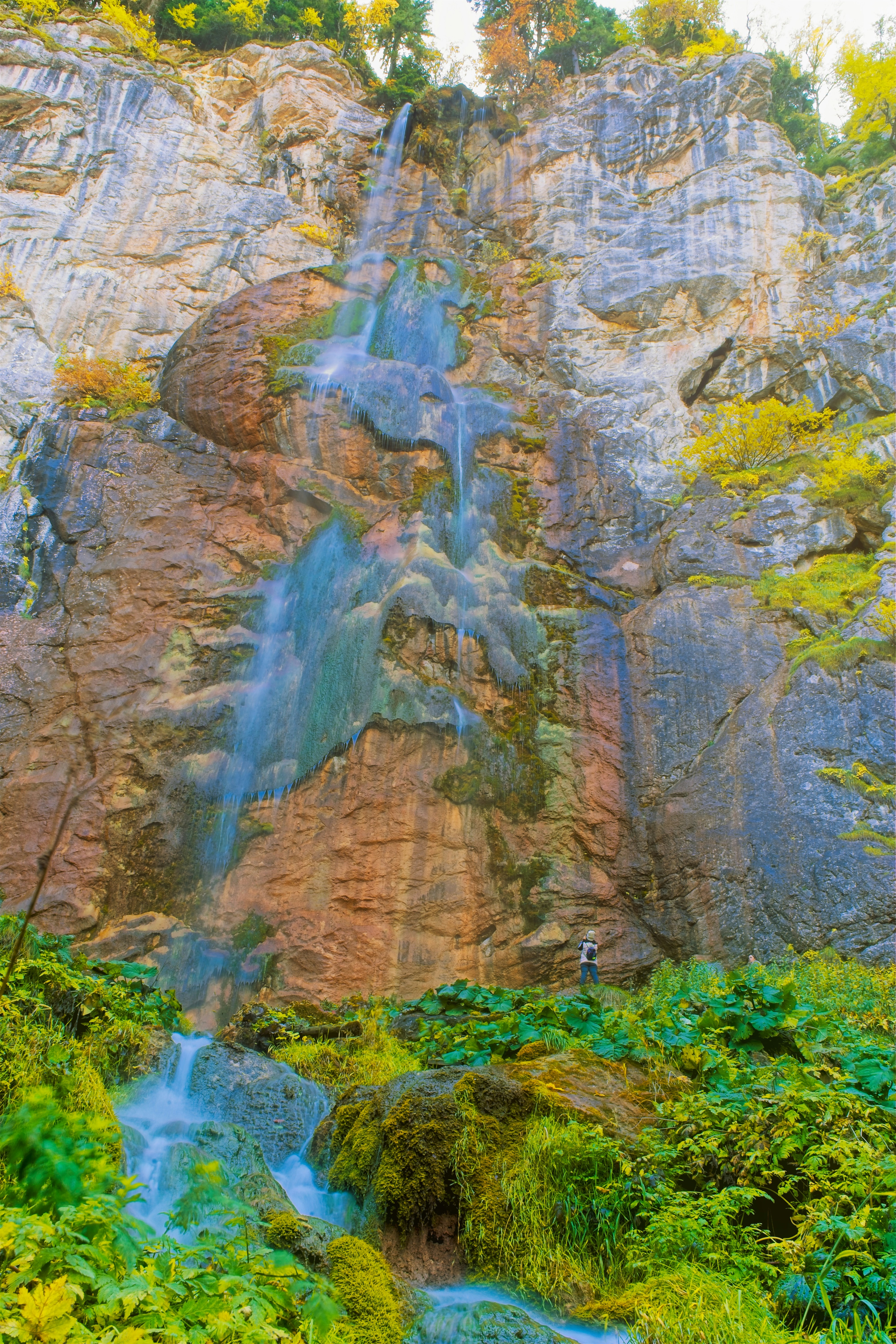 Cascading Veil: A Slender Cascade Down Verdant Rock