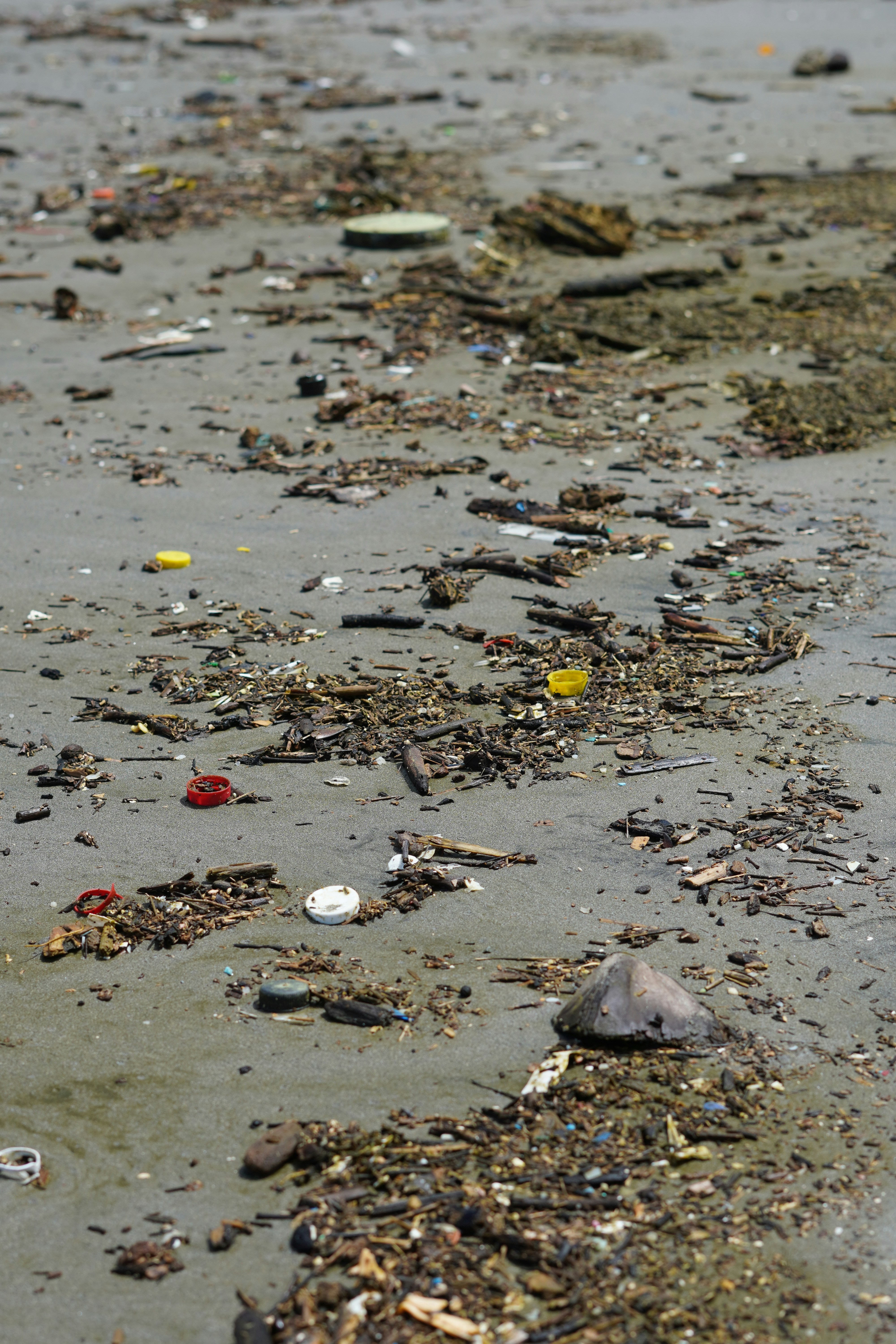 Littered Shoreline: Debris Spill Across Wet Sand