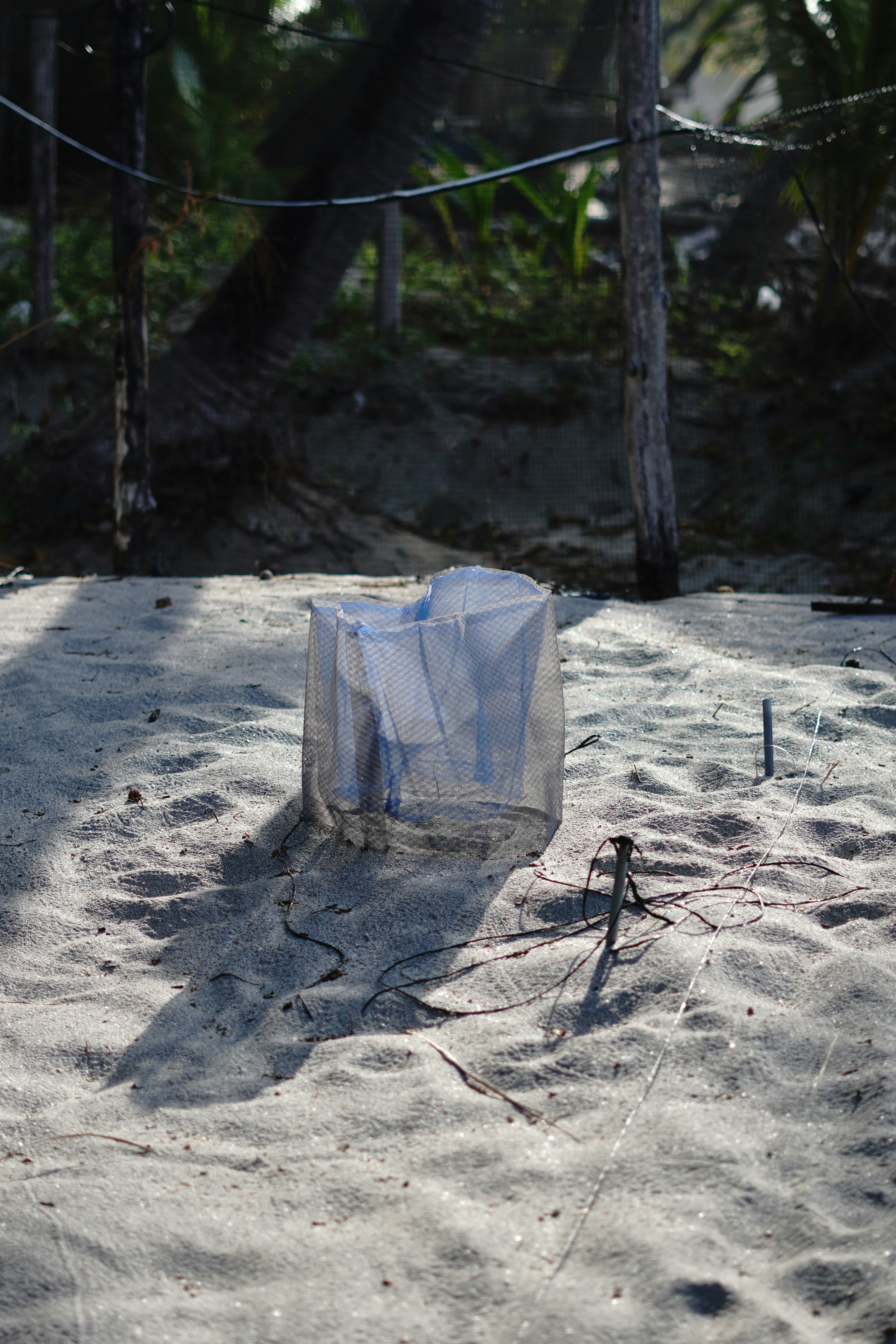 Shadowed Nets and Sandy Trench: A Quiet Beach Cleanup Scene