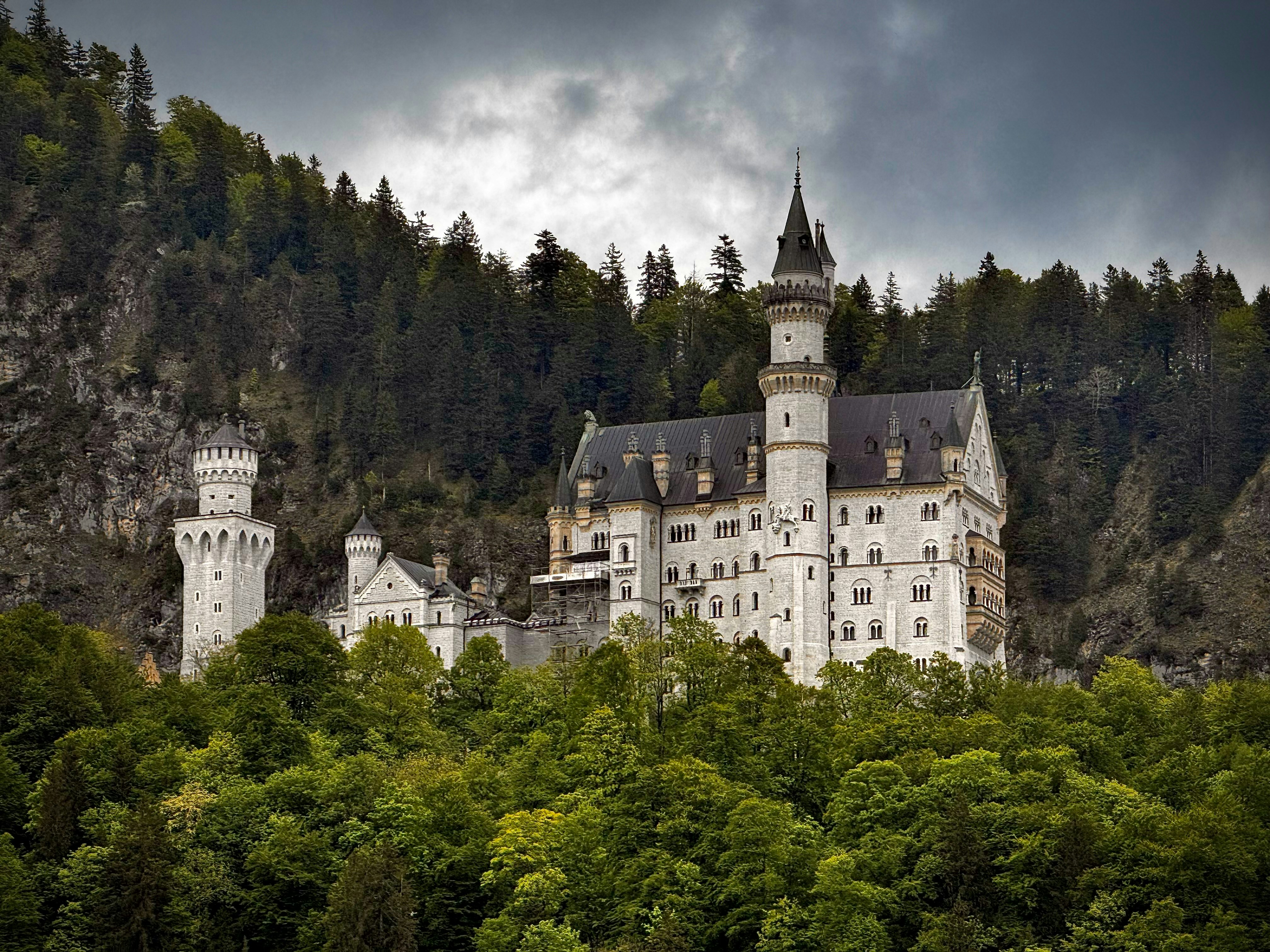 Castle Crowned by Forest: Bavarian Keep Above the Pines