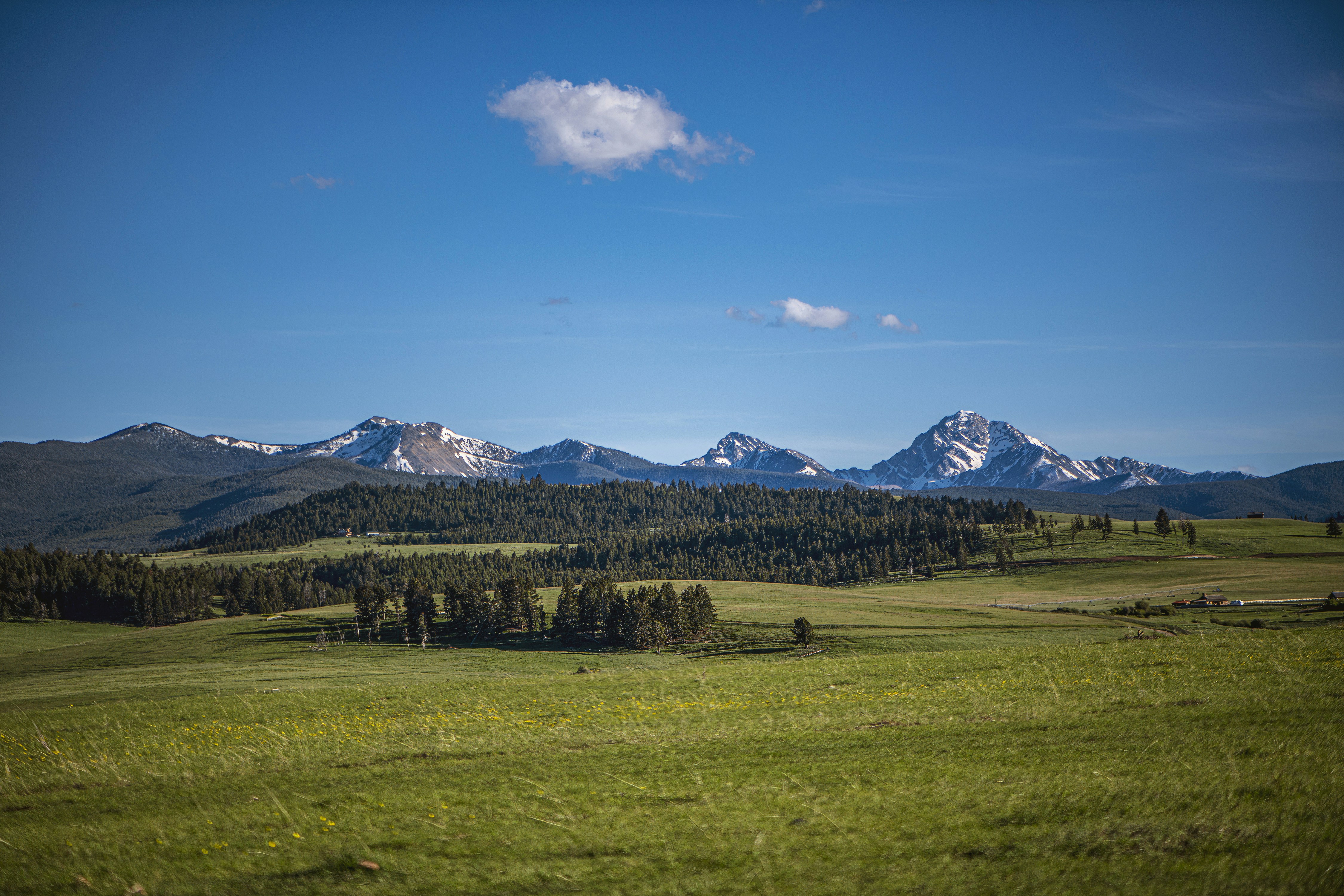 Snow-Capped Peaks on a Rolling Grassland