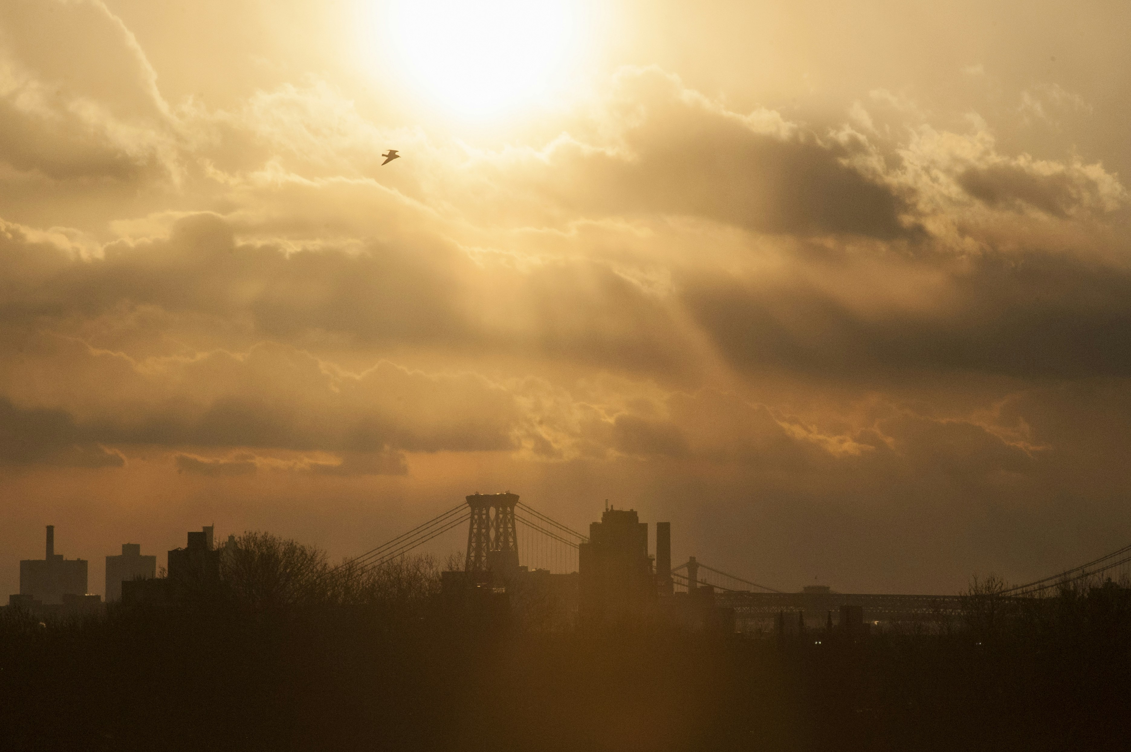 Golden Hour over the Industrial Horizon