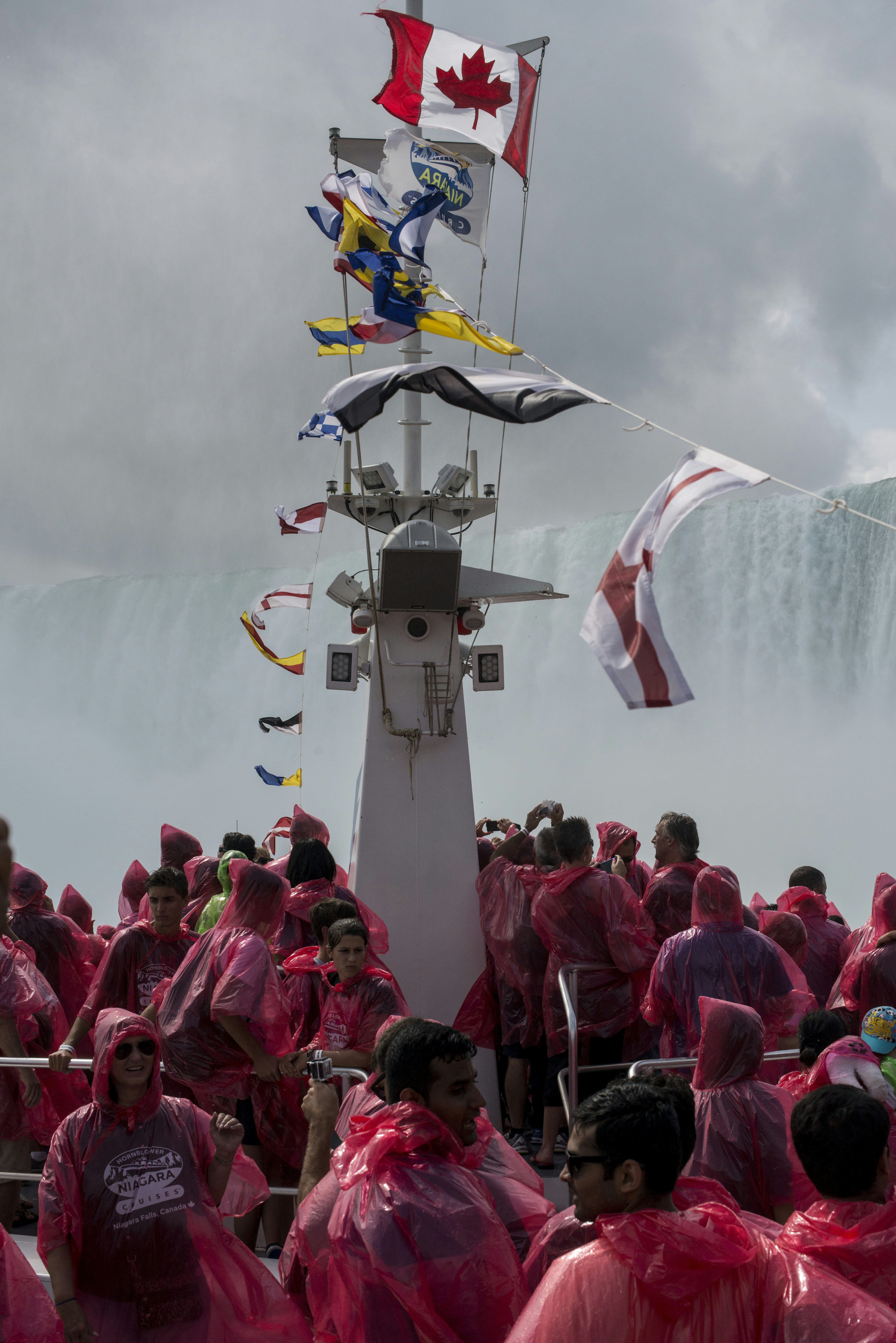 Flagpole Cascade: A Sea of Pink Ponchos Beneath Maritime Signals